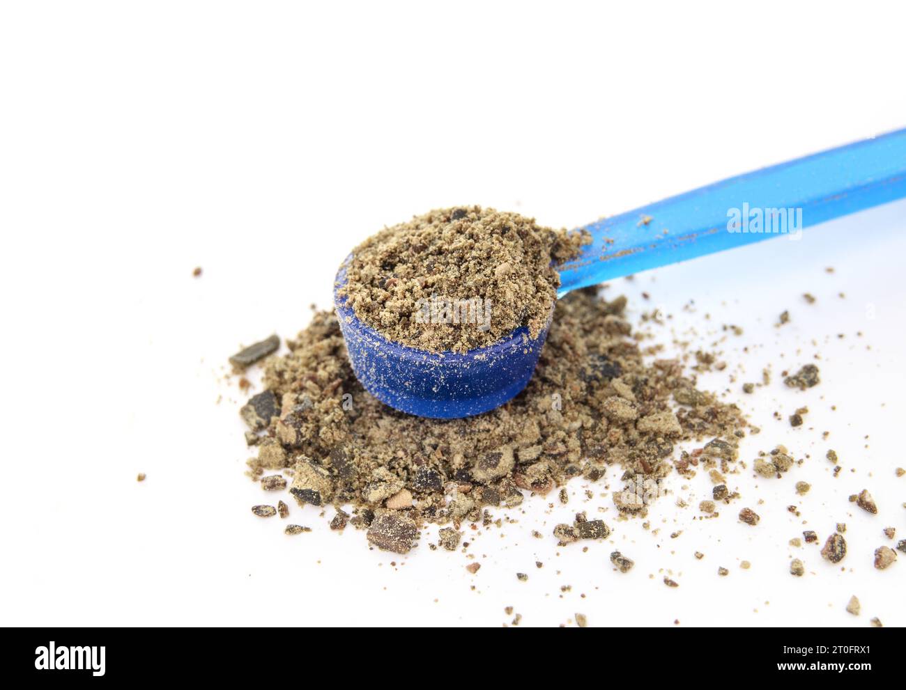 Ground kelp supplement in spoon. Green powder in small blue measuring ...