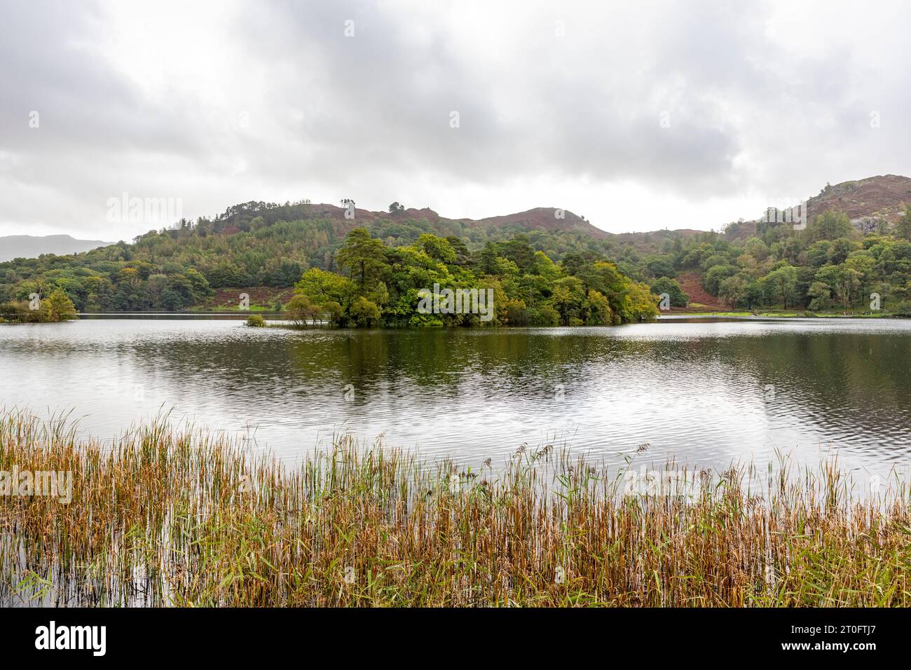 Rydal Water with views to Loughrigg in the Lake District National Park ...