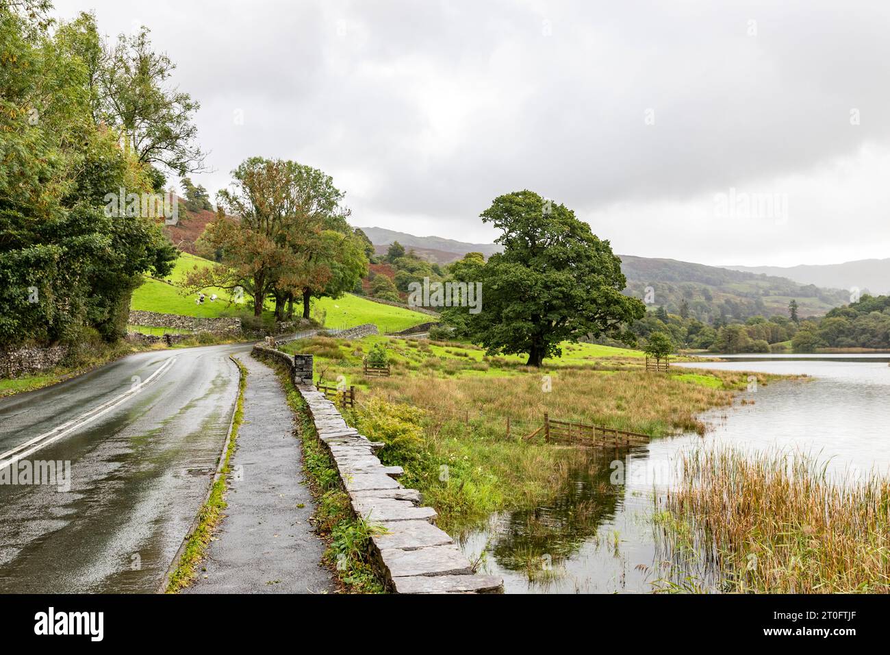 Rydal Water in Lake District National Park England,september 2023 ...