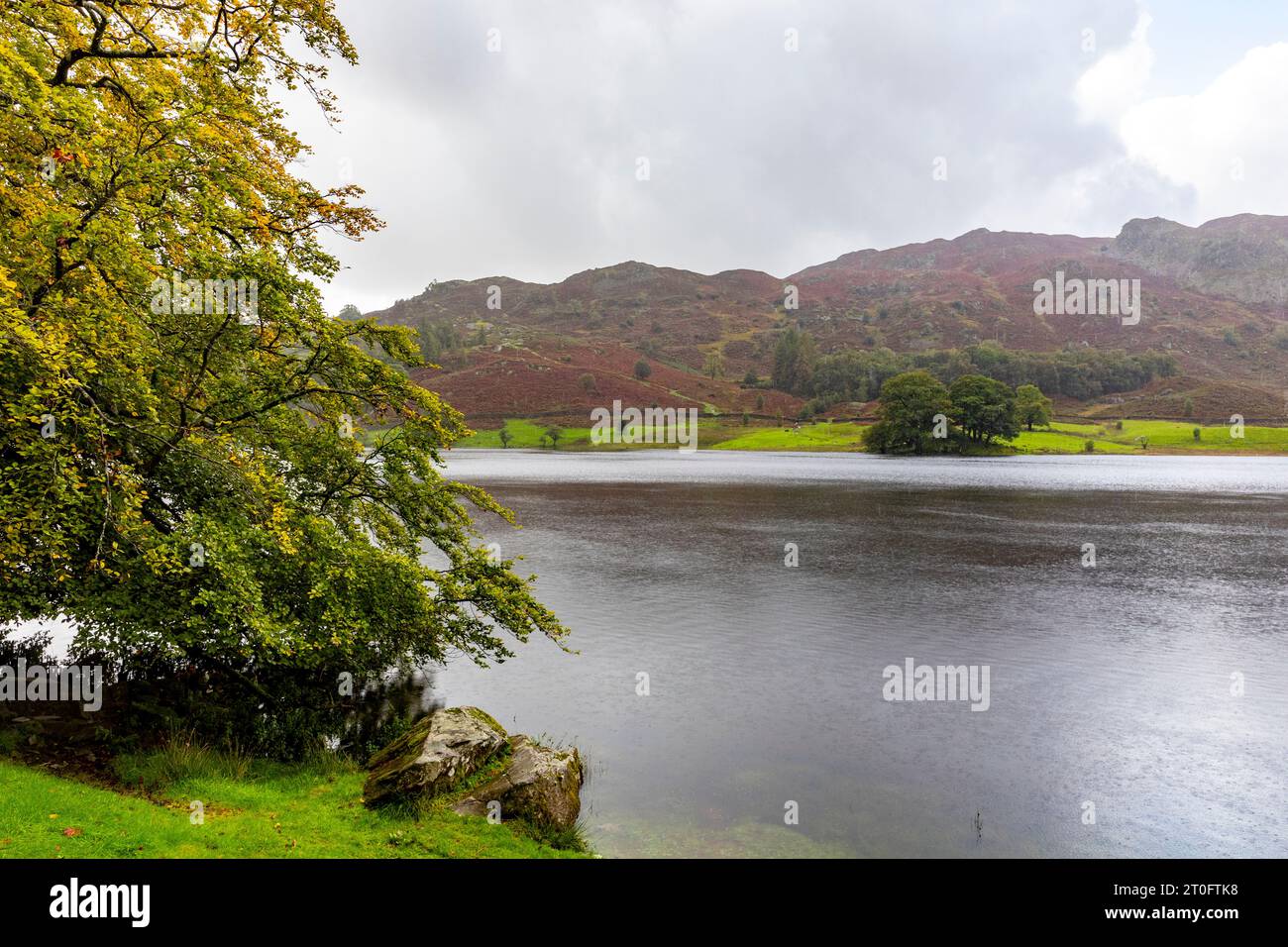 Rydal Water in Lake District National Park England,september 2023 ...