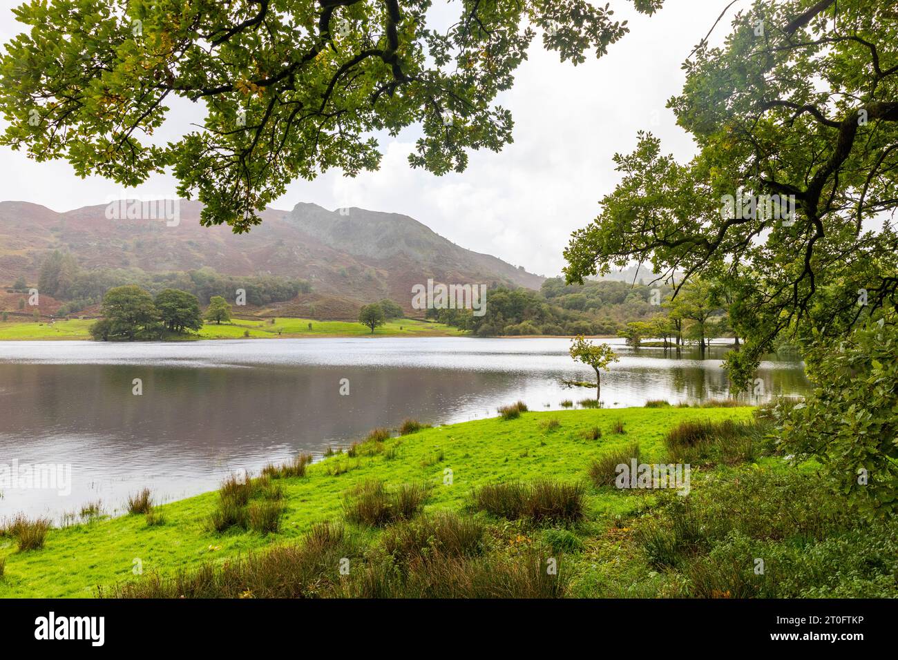 Rydal Water in Lake District National Park England,september 2023 ...