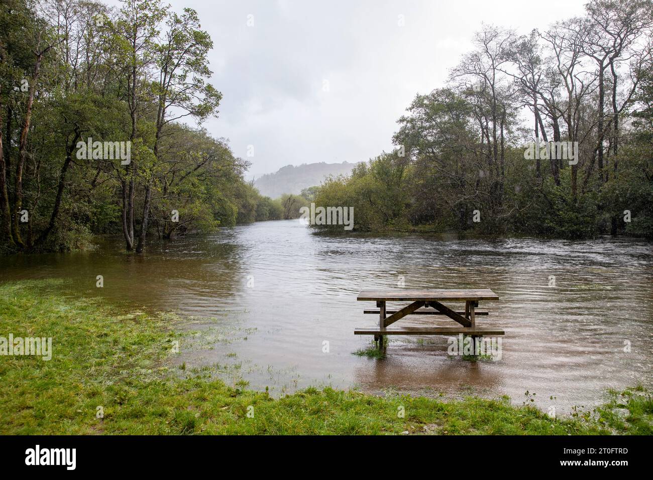 River Rothay flowing into Rydal Water has flooded and water levels ...