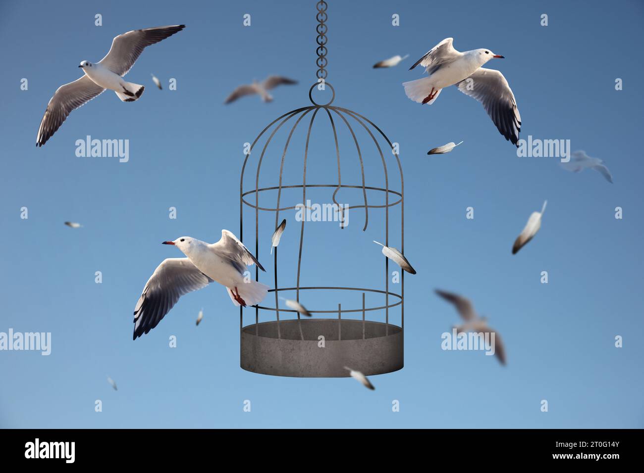 Freedom. Birds flying out of broken cage on light blue background Stock ...
