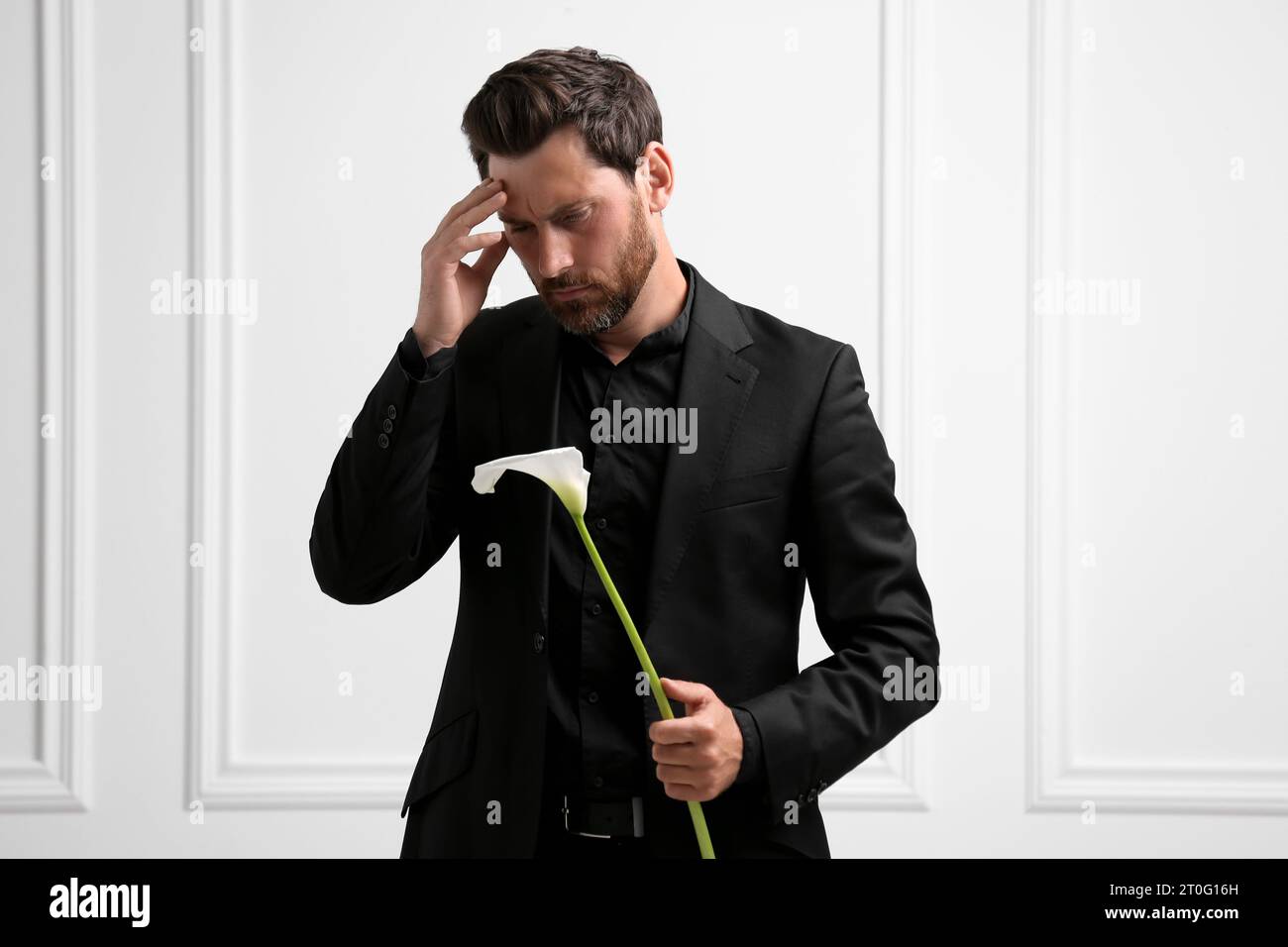 Sad man with calla lily flower mourning near white wall. Funeral ...