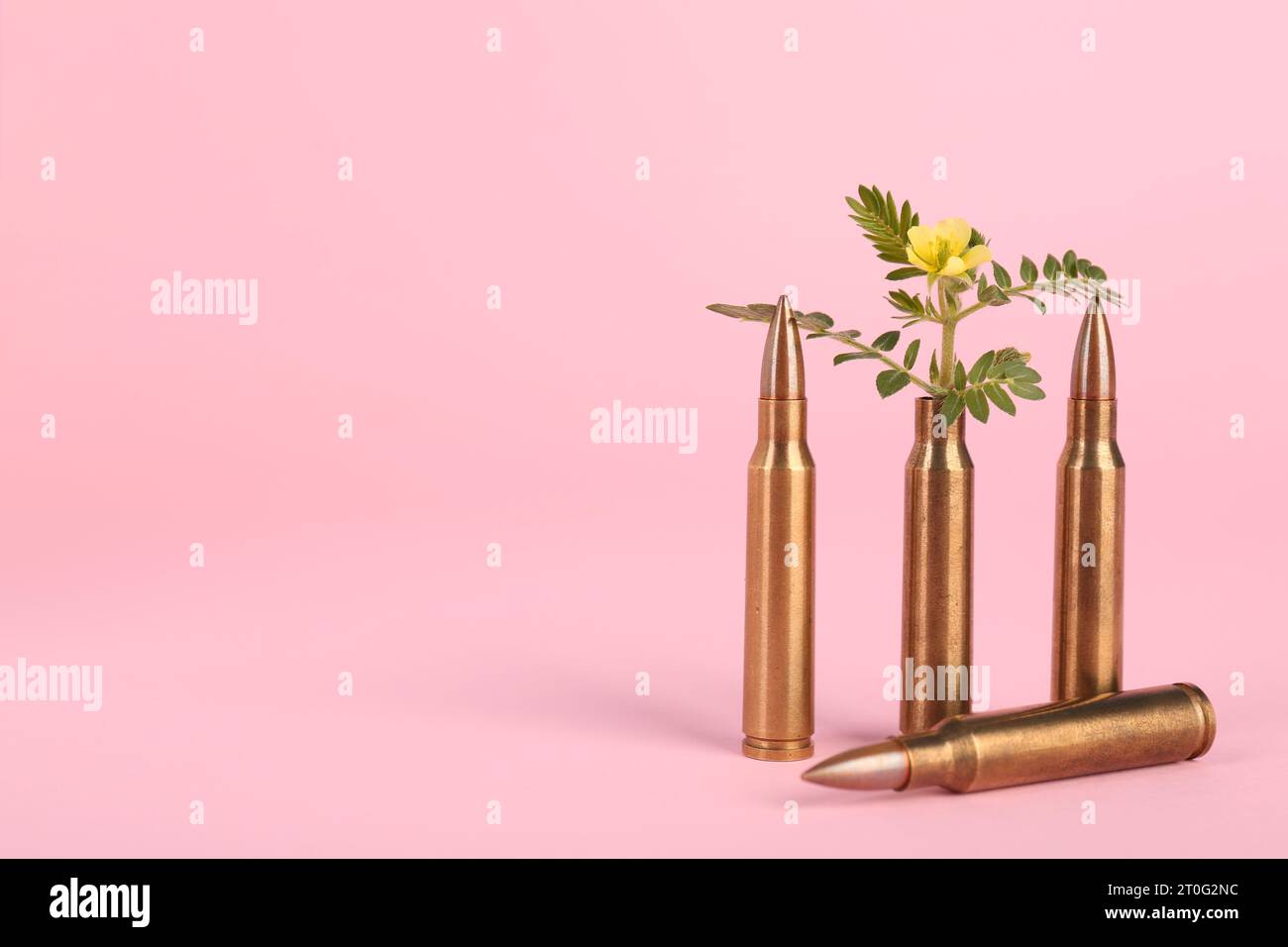 Bullets and beautiful flower on pink background, space for text Stock ...
