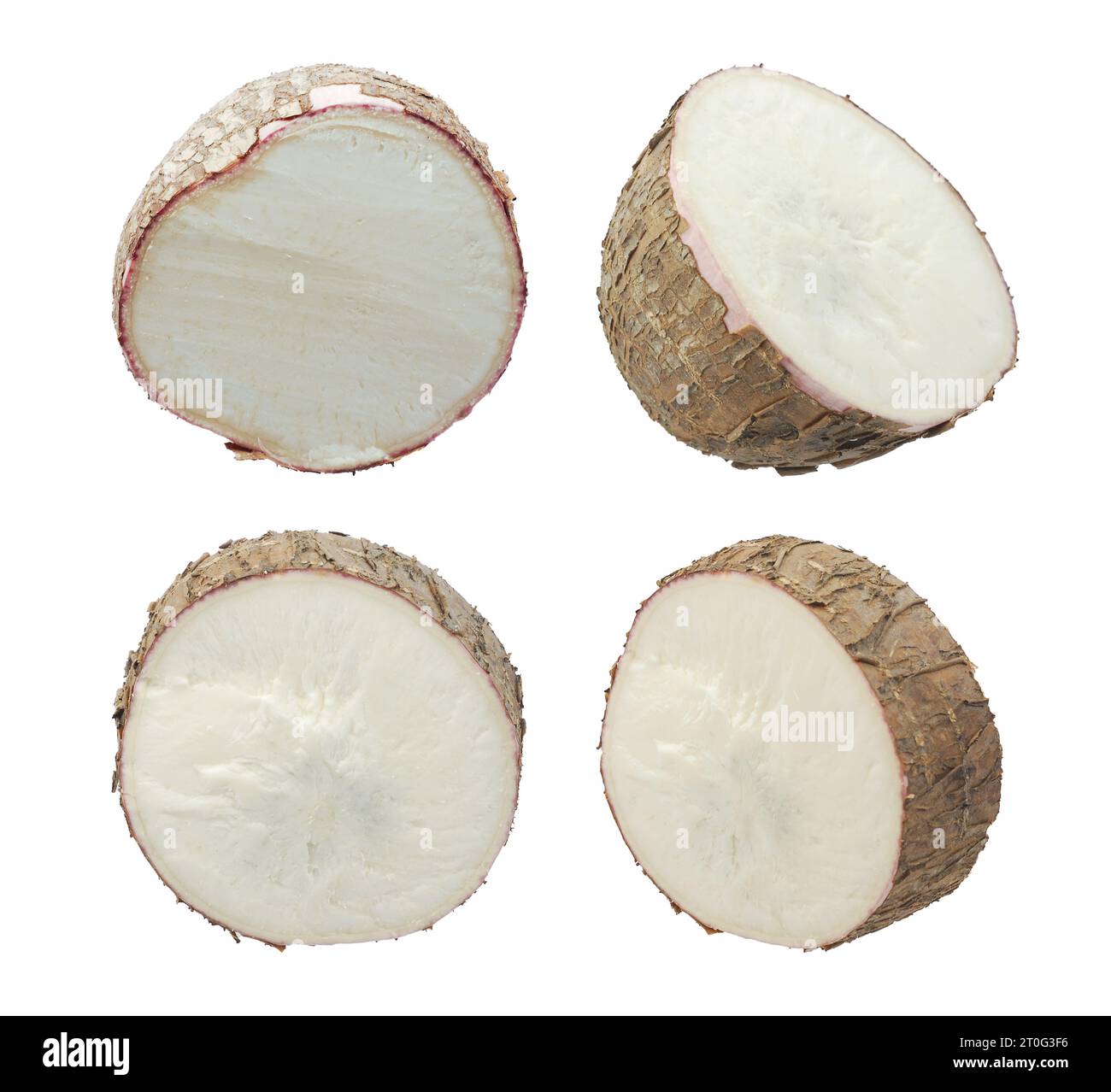 Cassava root isolated on white background Stock Photo - Alamy