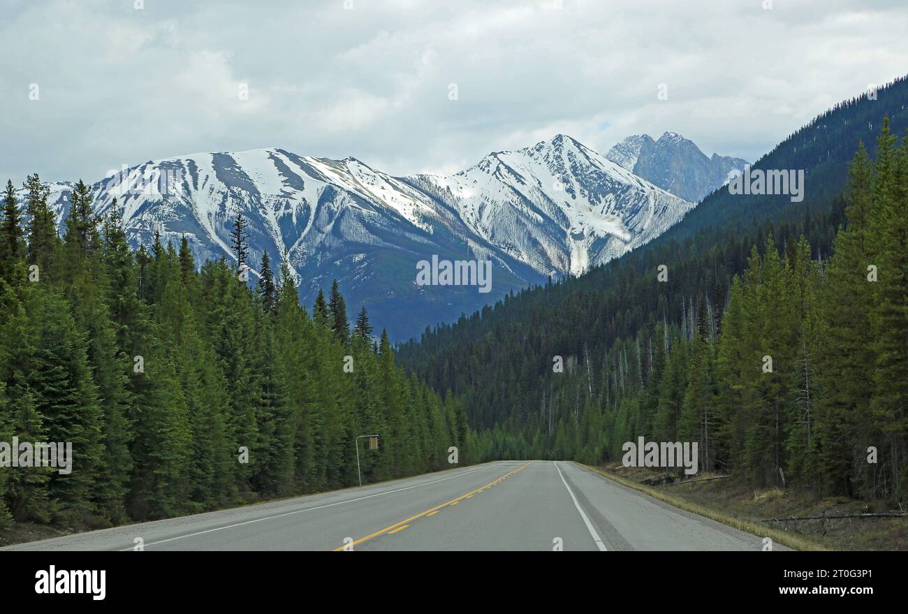 Canada road forest hi-res stock photography and images - Alamy