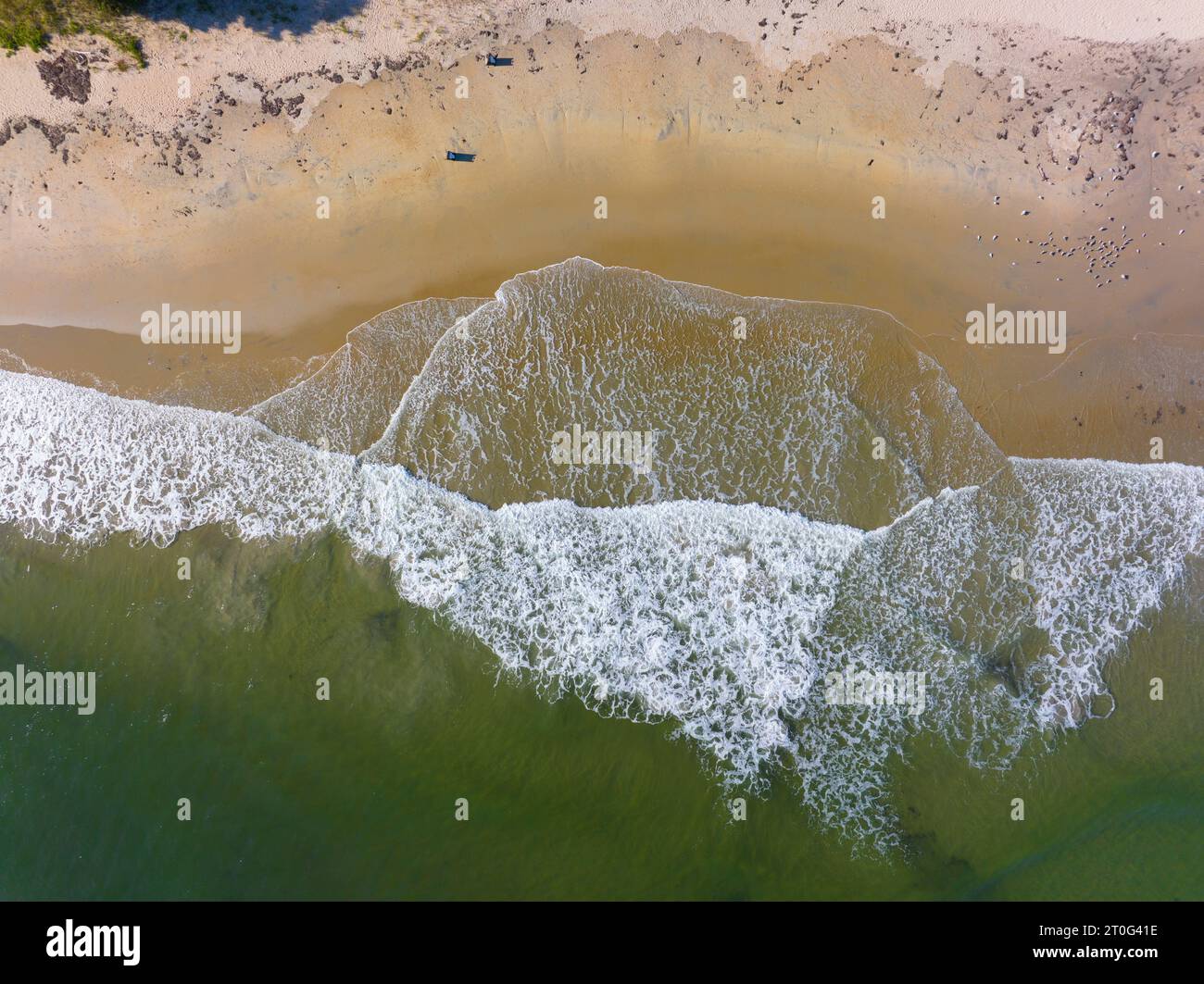 Beverly beach hi-res stock photography and images - Alamy