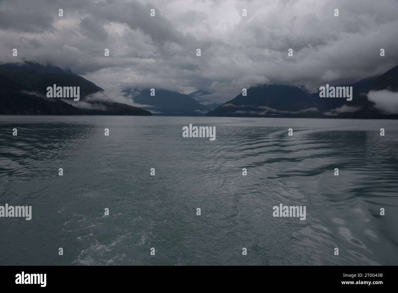 Lush rainforest is covering the calm waters of Knight Inlet at British ...