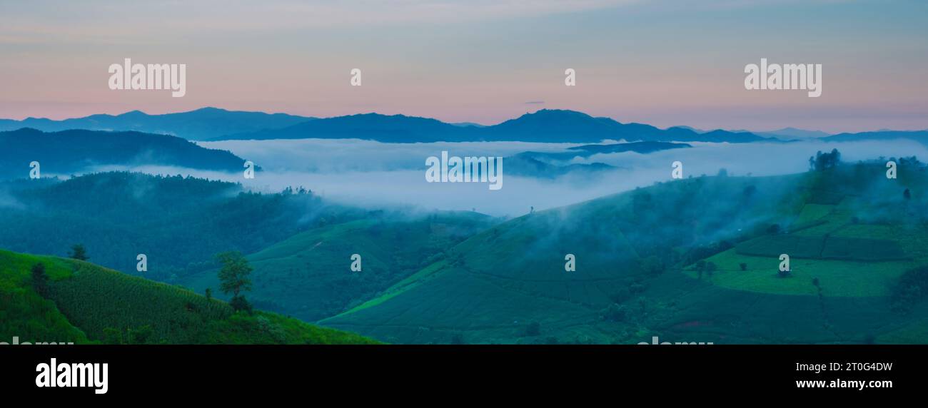 Terraced Rice Field in Chiangmai, Thailand, Pa Pong Piang rice terraces ...