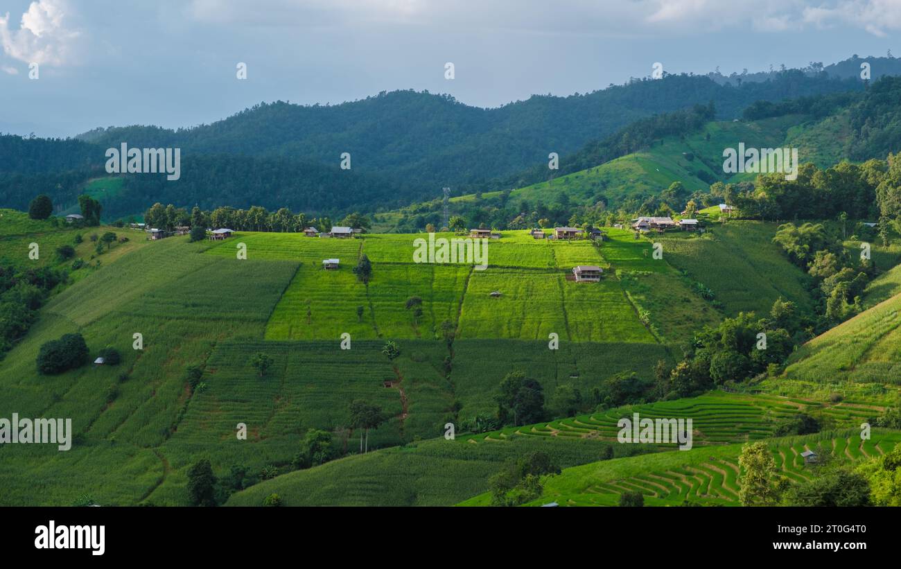 Drone aerial view at the green Terraced Rice Field in Chiangmai ...
