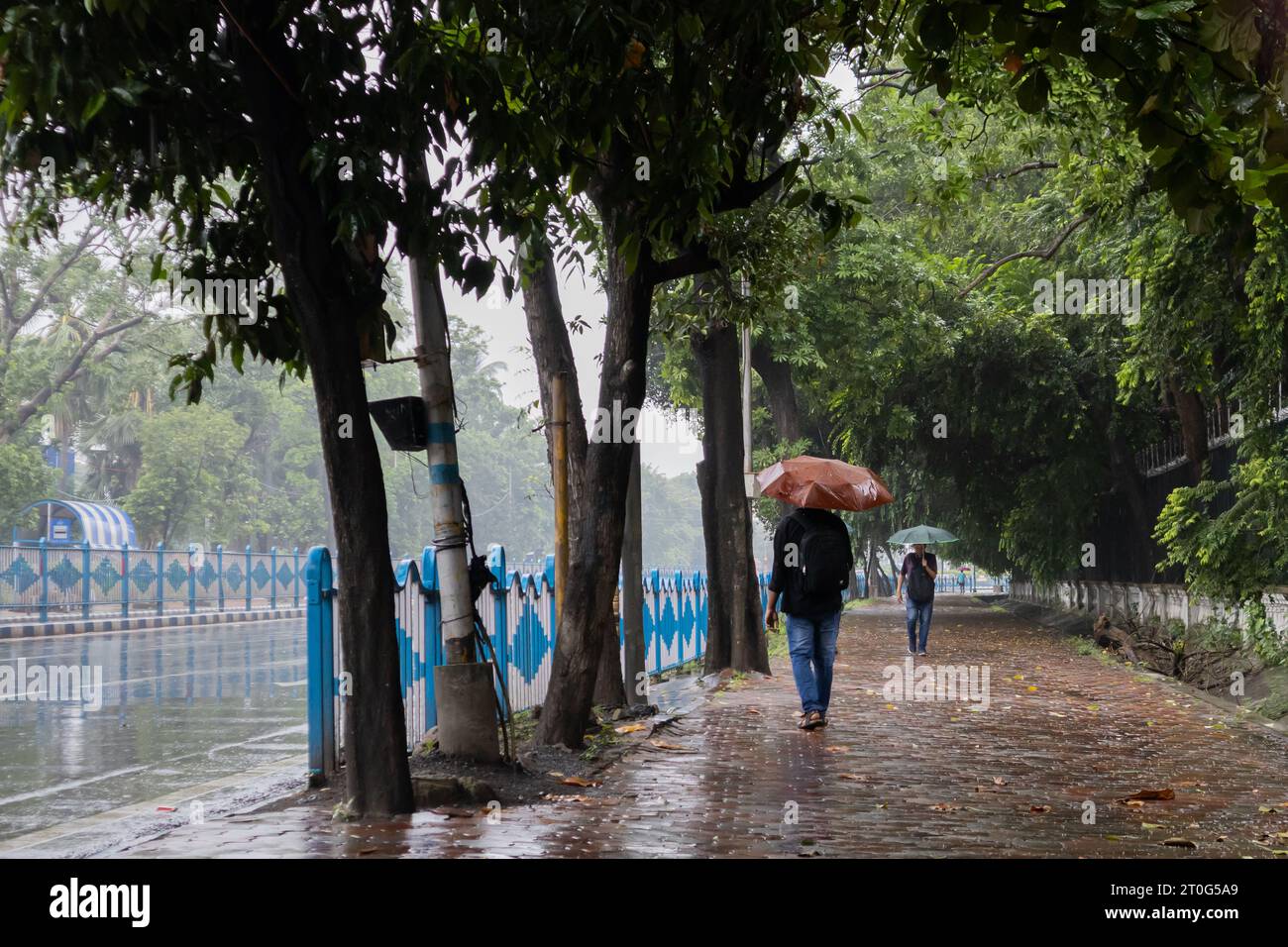 people walking with umbrella on a rain wet foot path and during monsoon ...
