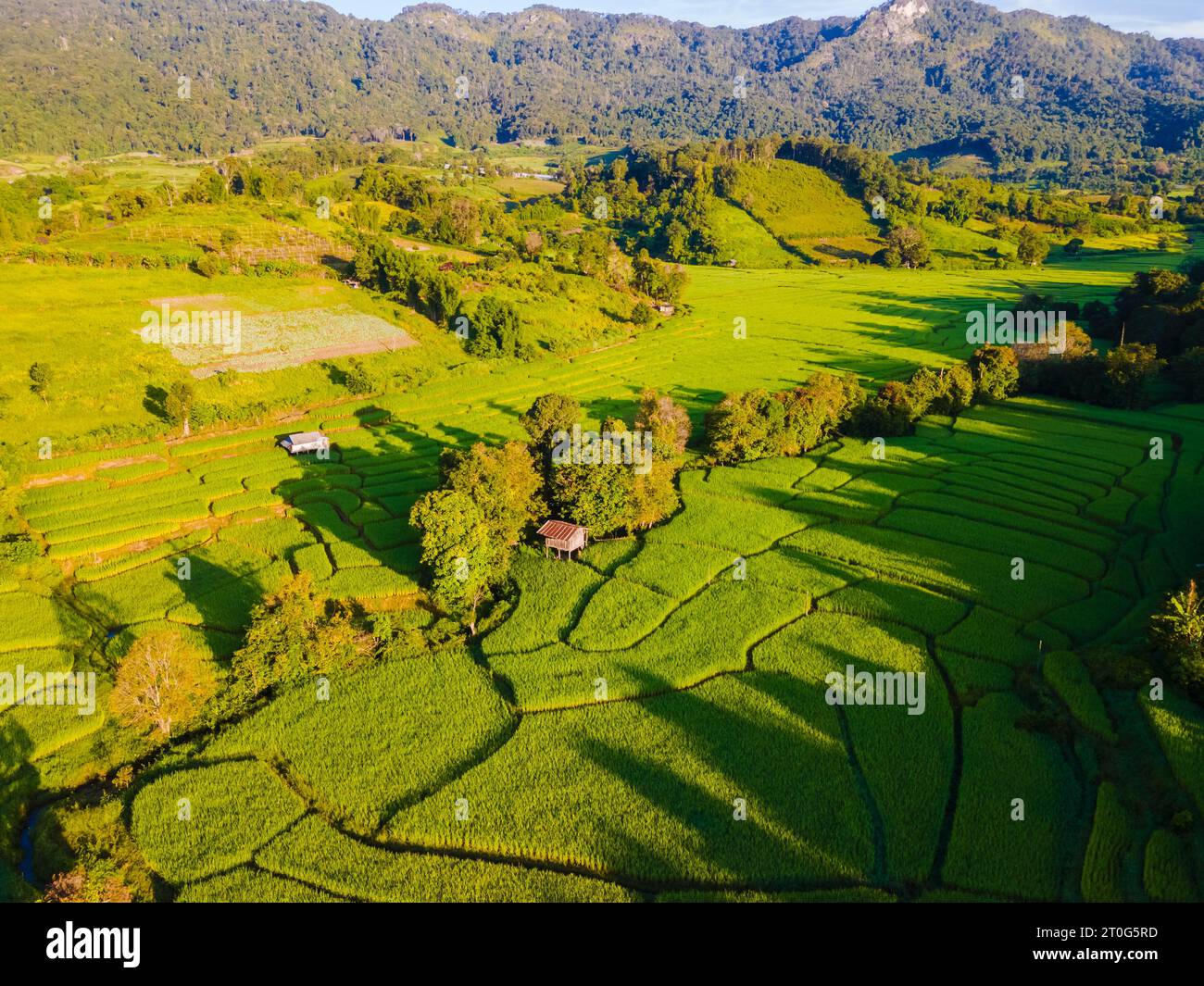 Terraced Rice Field in Chiangmai during the green rain season, Thailand. Royal Project Khun Pae ...