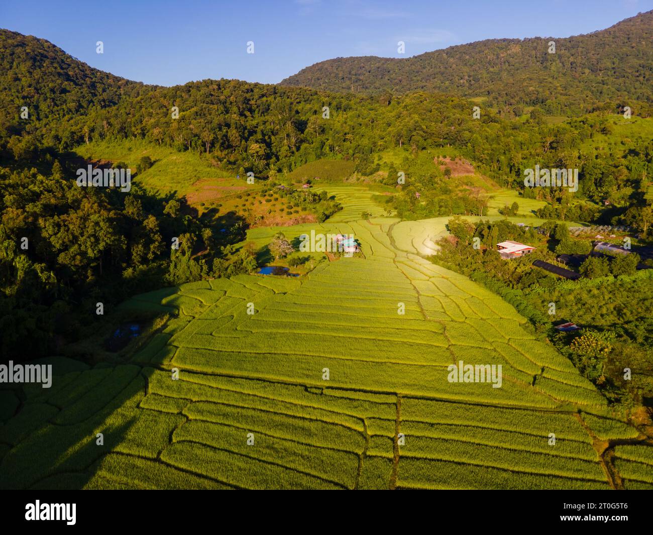 Terraced Rice Field in Chiangmai during the green rain season, Thailand. Royal Project Khun Pae ...