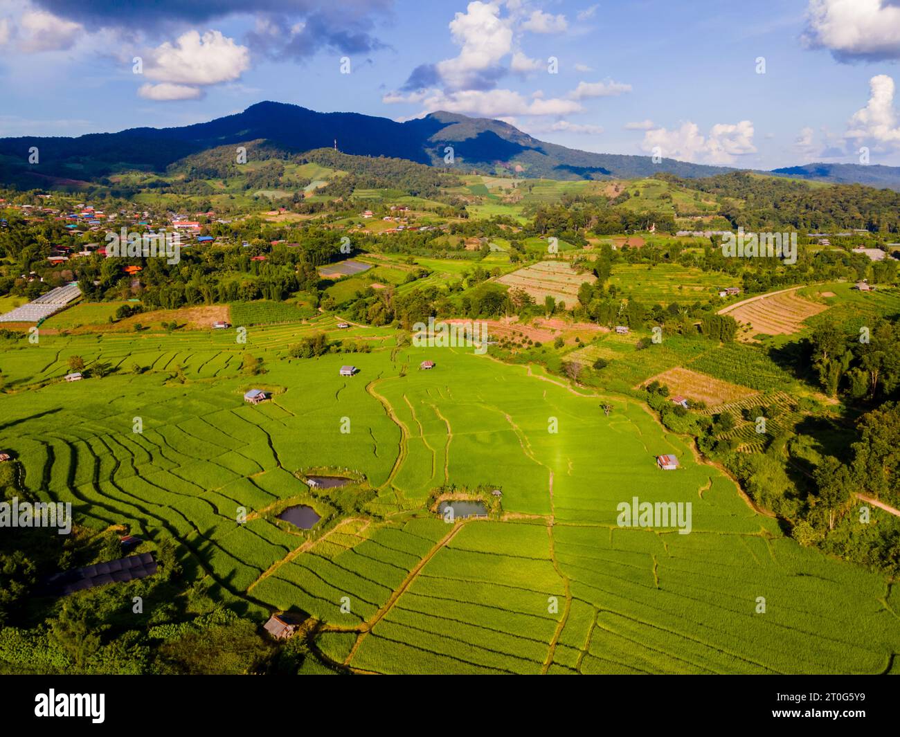 Terraced Rice Field in Chiangmai during the green rain season, Thailand. Royal Project Khun Pae ...