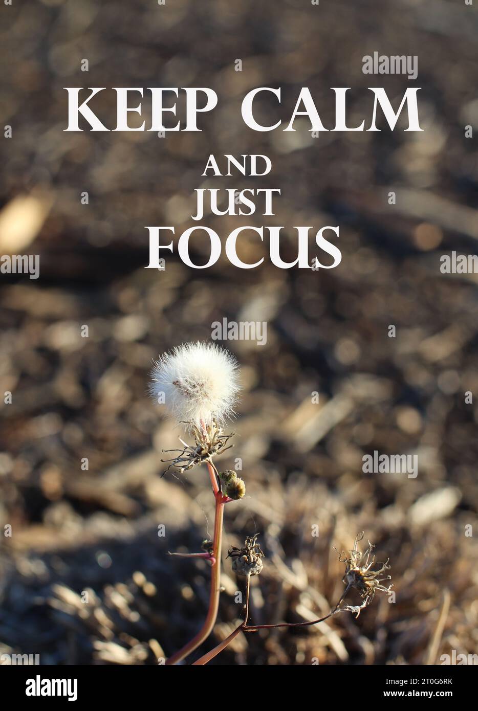 Quote. Saying. Quote. Motivational and inspirational quotes - Keep calm ...