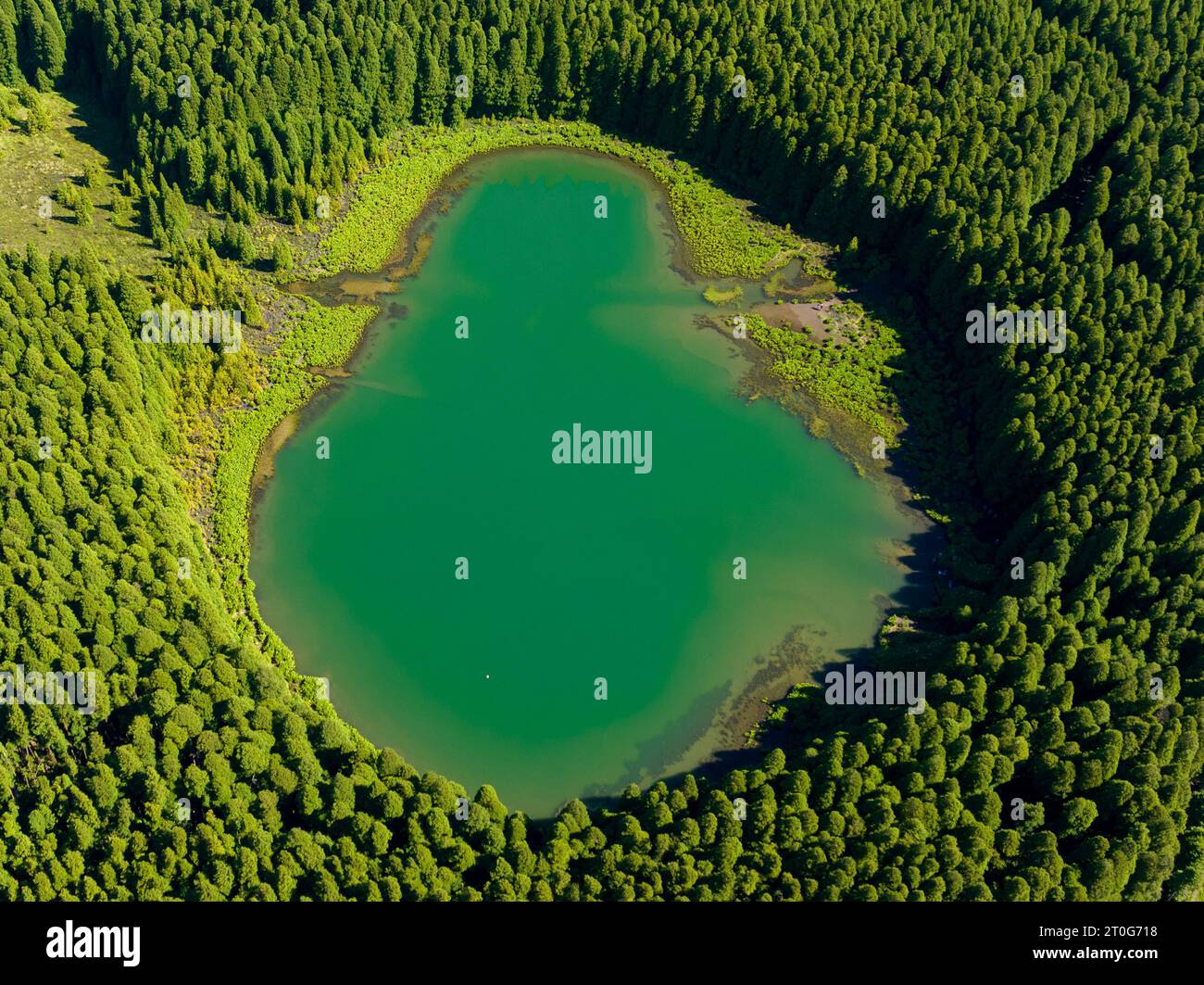 Aerial view of "Lagoa do Canario" lagoon surrounded by green forest ...