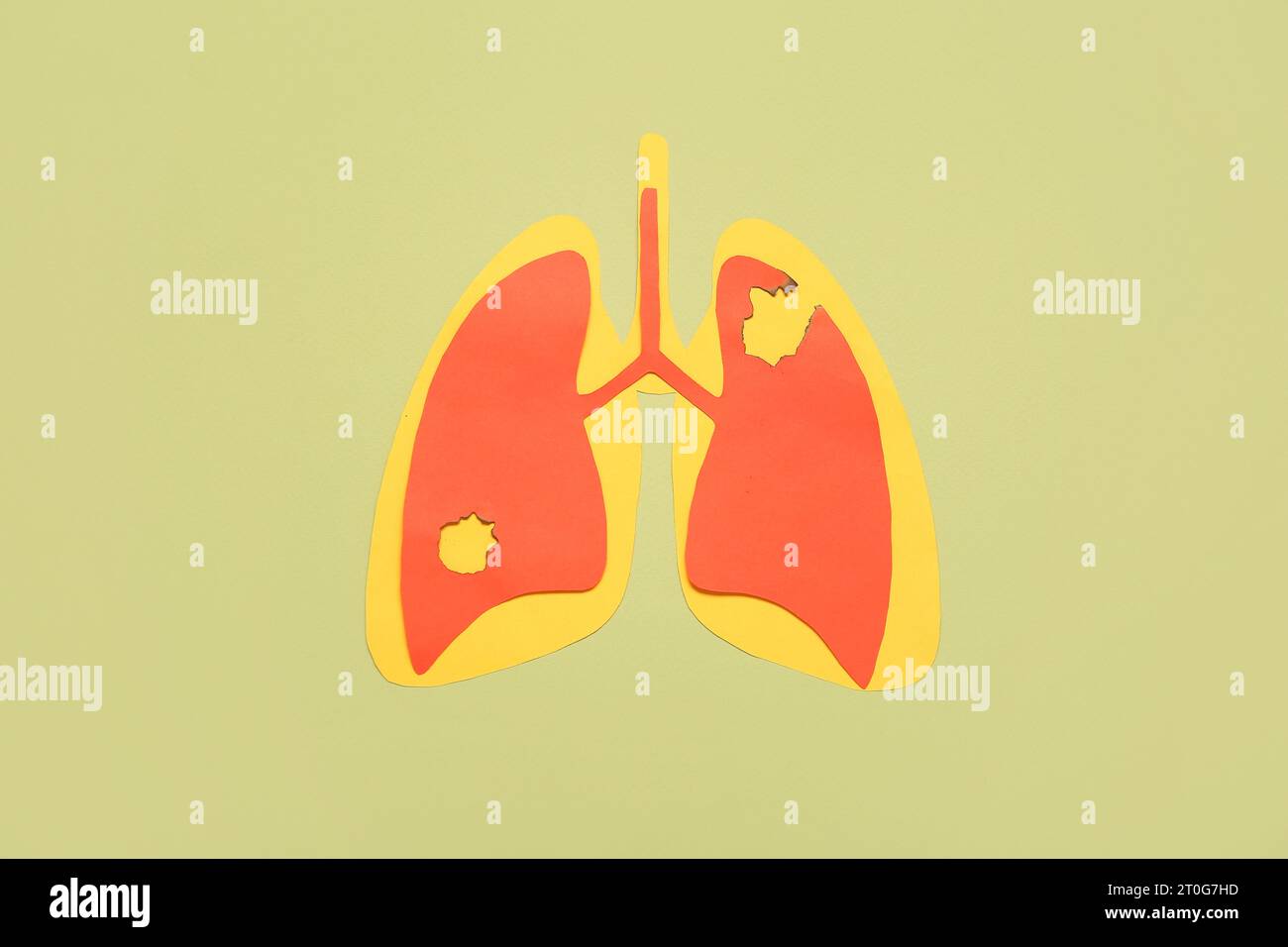 Paper lungs with burnt holes on green background. Lung cancer concept ...