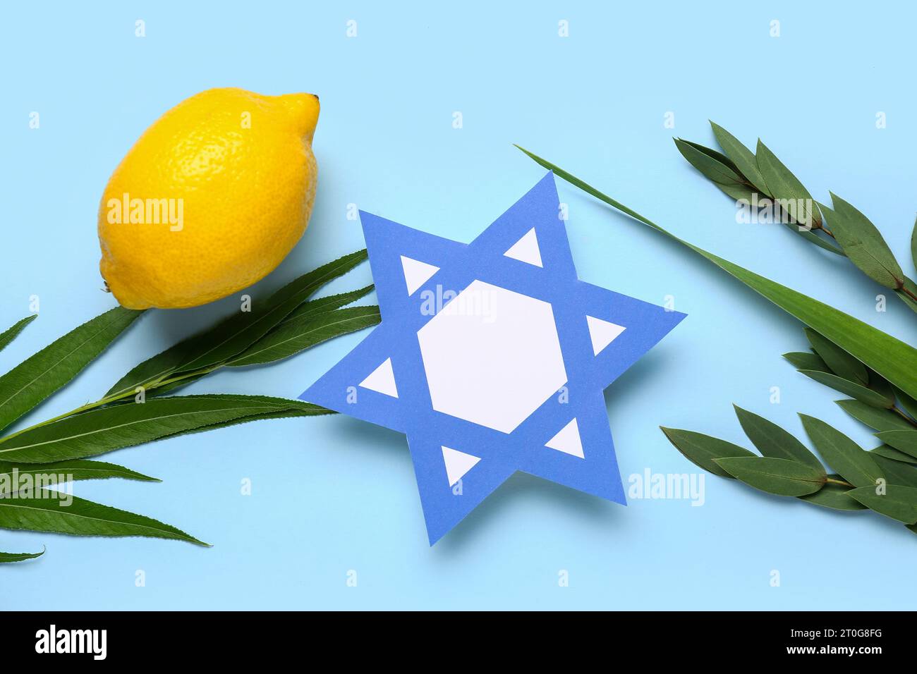 Four species (lulav, hadas, arava, etrog) as Sukkot festival symbols ...