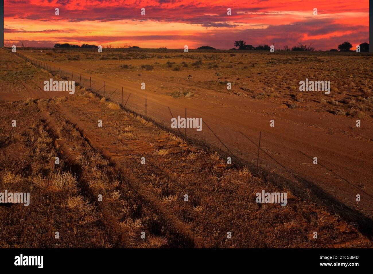 The dingo fence separating New South Wales from Queensland in the far ...