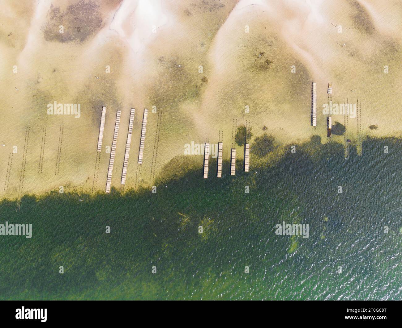 Oyster beds wales hi-res stock photography and images - Alamy