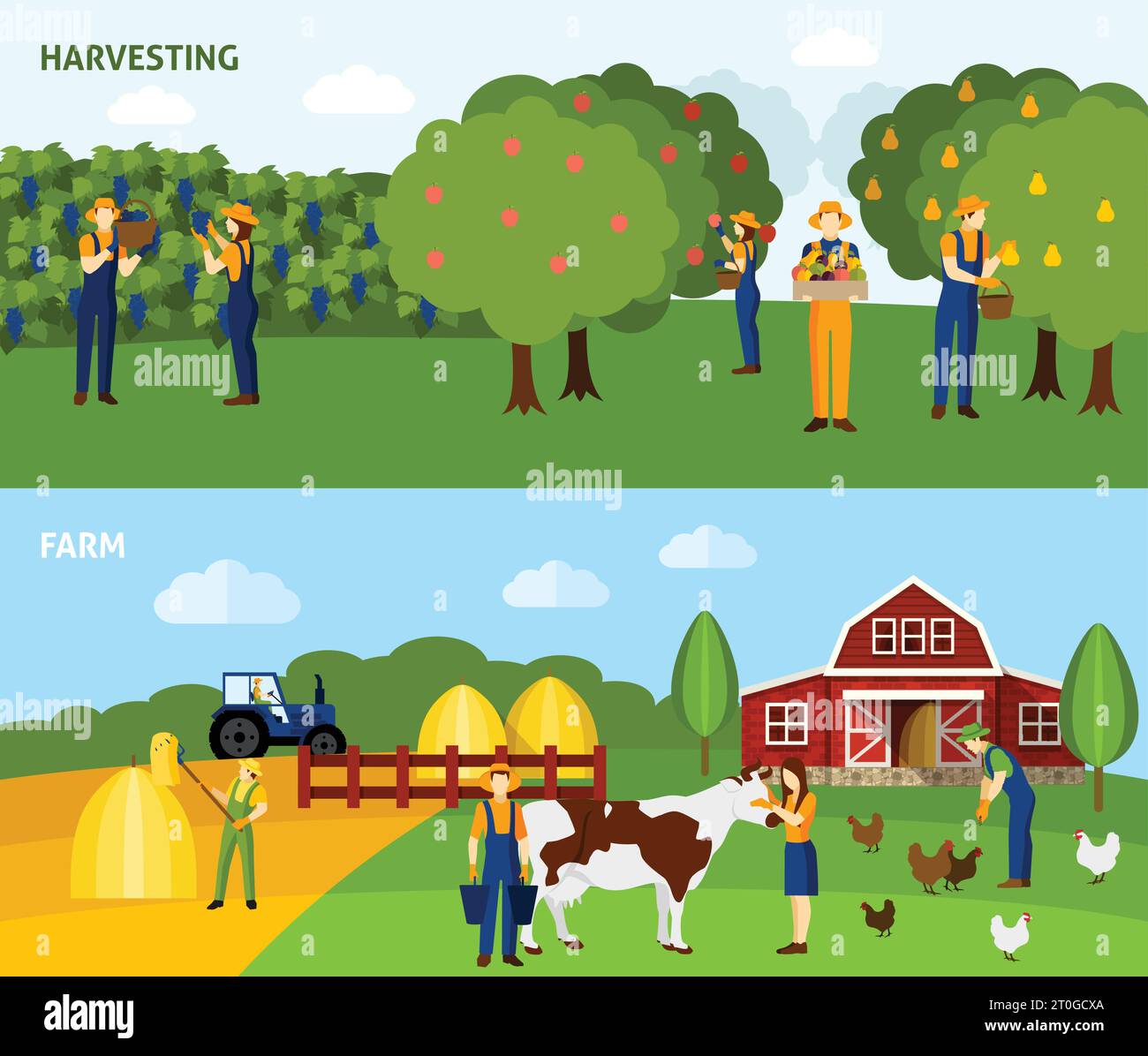 Orchard crops harvesting and livestock forage production 2 flat horizontal banners composition ...