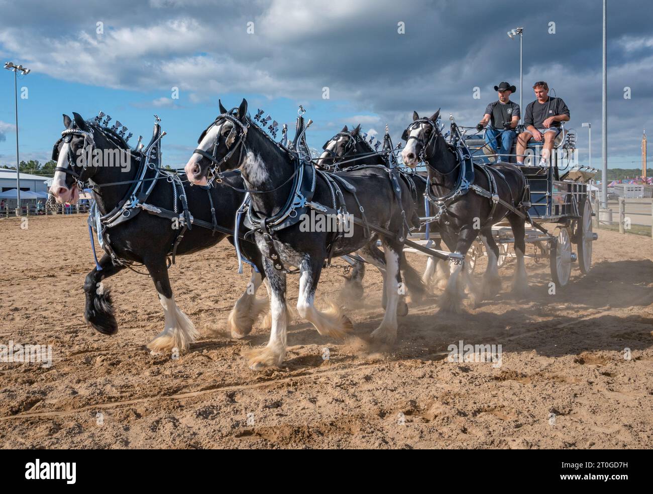 2023 Virginia State Fair, Doswell, VA - Spectators watch the Clydesdale ...
