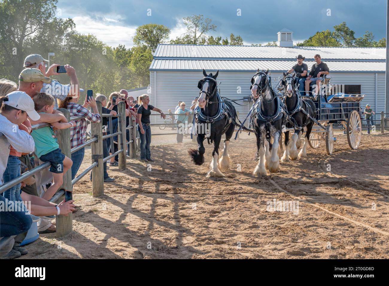 2023 Virginia State Fair, Doswell, VA - Spectators watch the Clydesdale ...