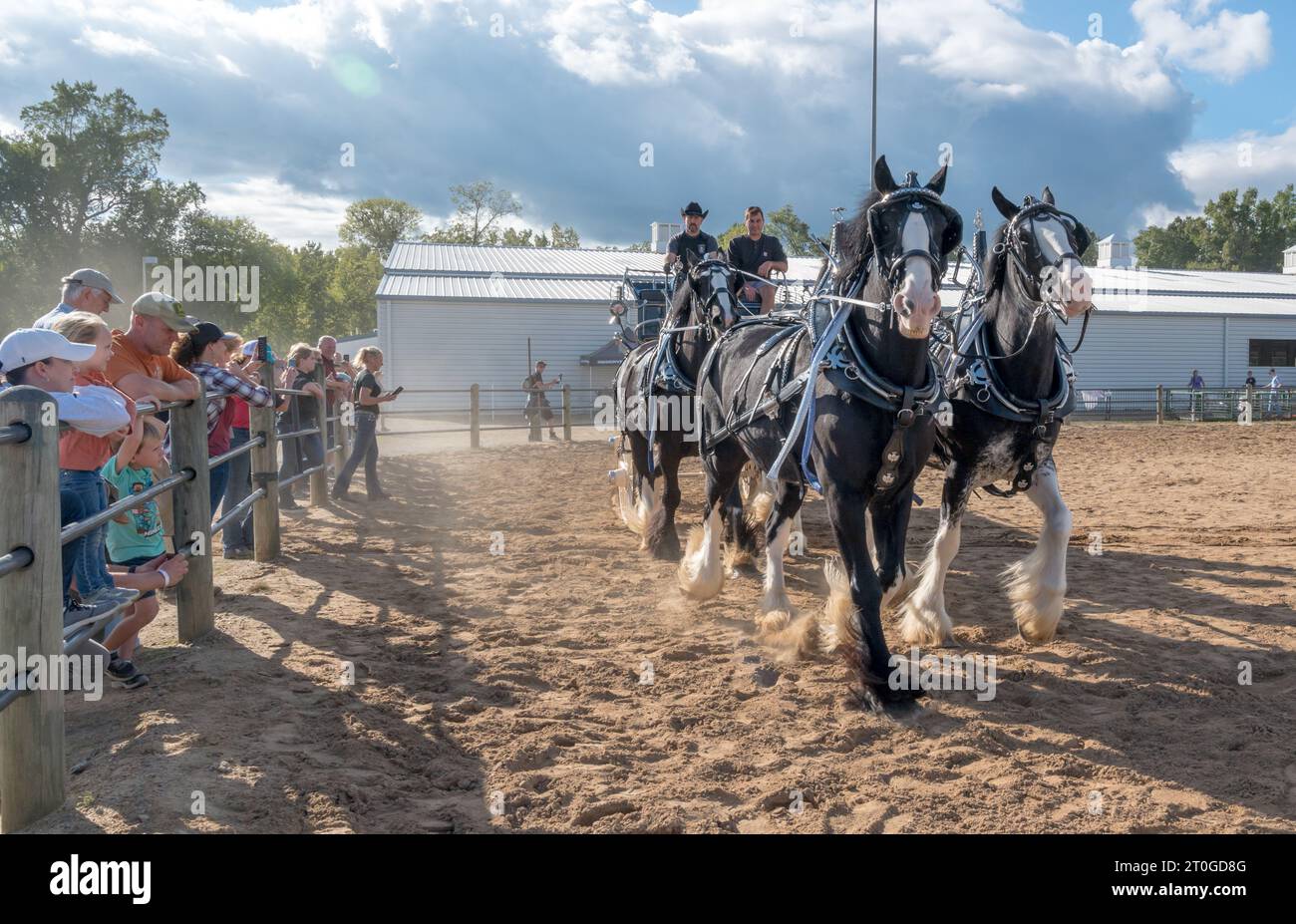 2023 Virginia State Fair, Doswell, VA - Spectators watch the Clydesdale ...