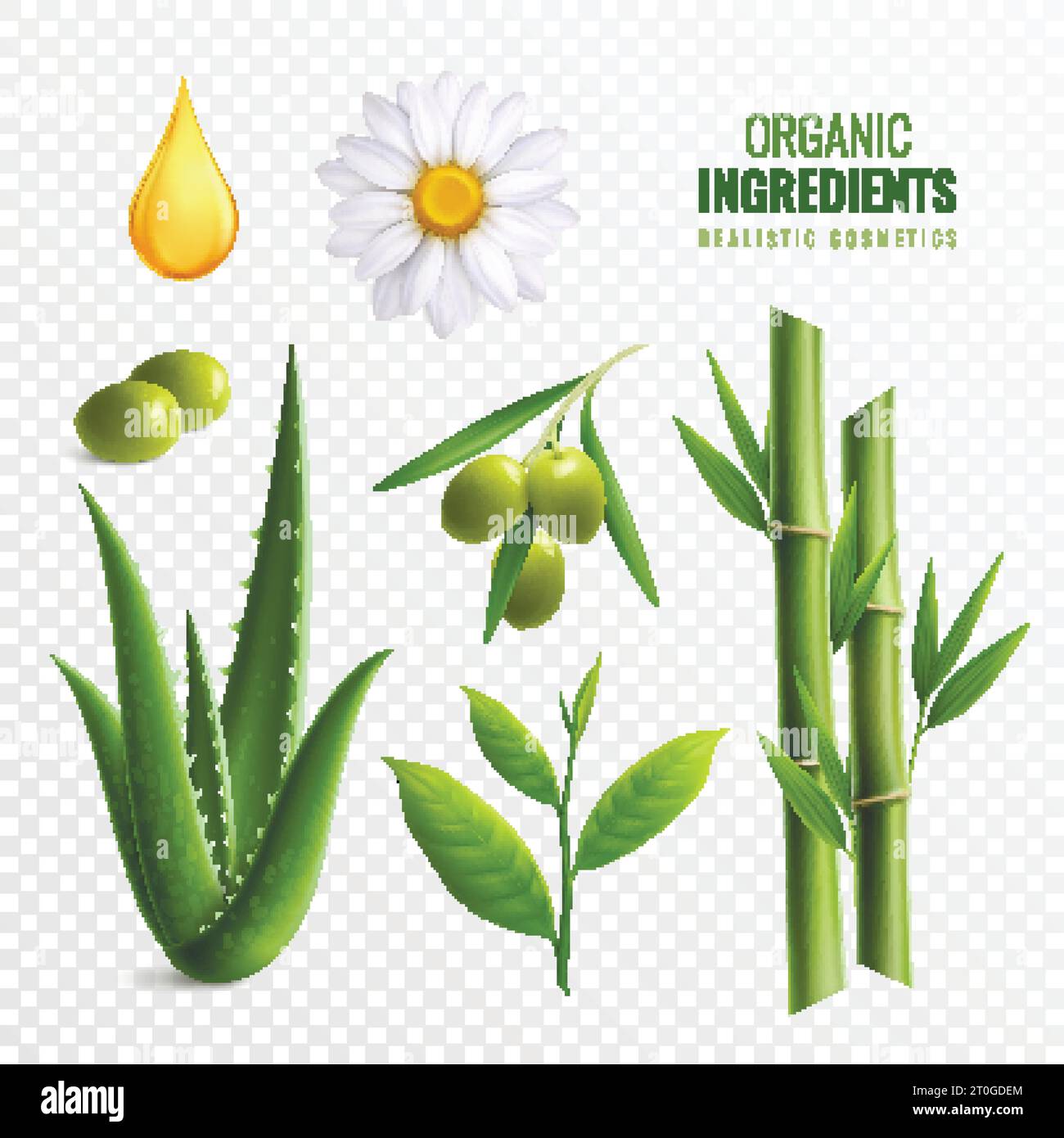 Realistic transparent organic cosmetics ingredients icon set with ...
