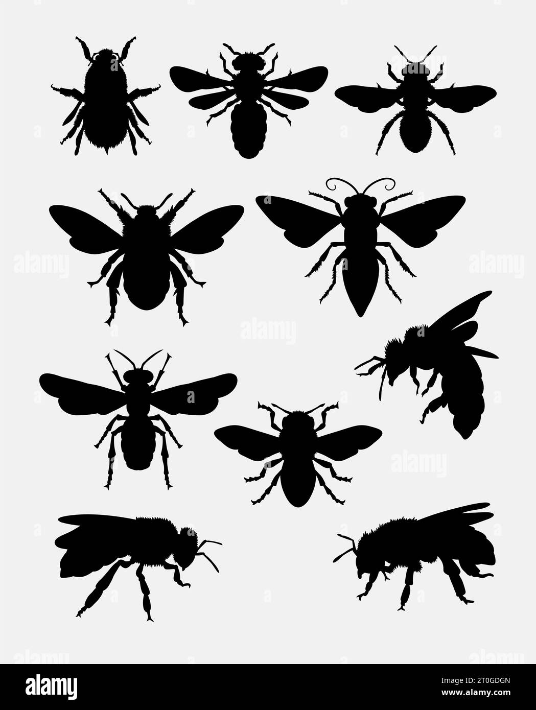 bee insect animal silhouette Stock Vector Image & Art - Alamy