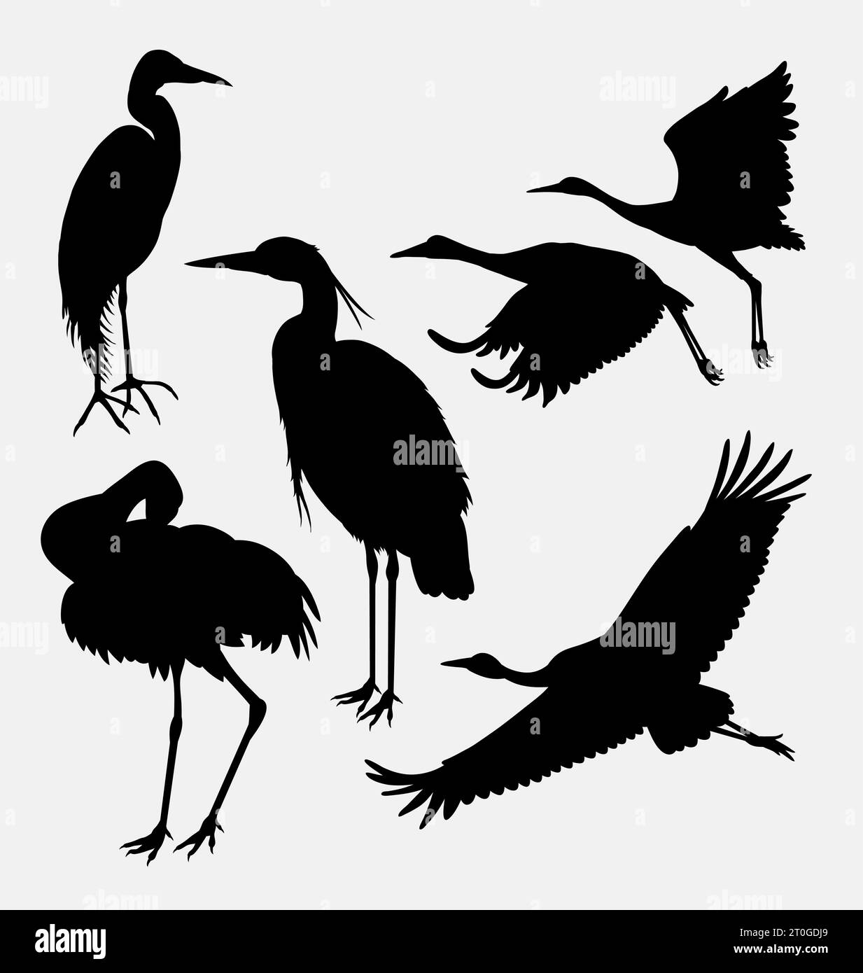 Egret shadow Stock Vector Images - Alamy