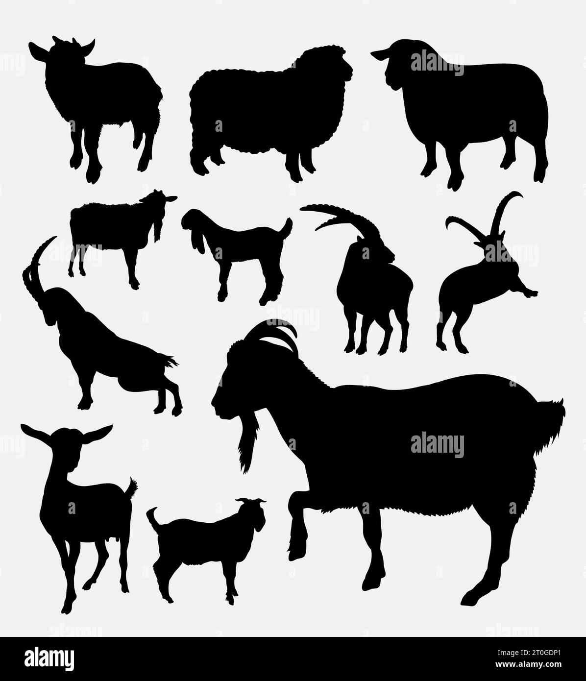 Shadow farm goat Stock Vector Images - Alamy
