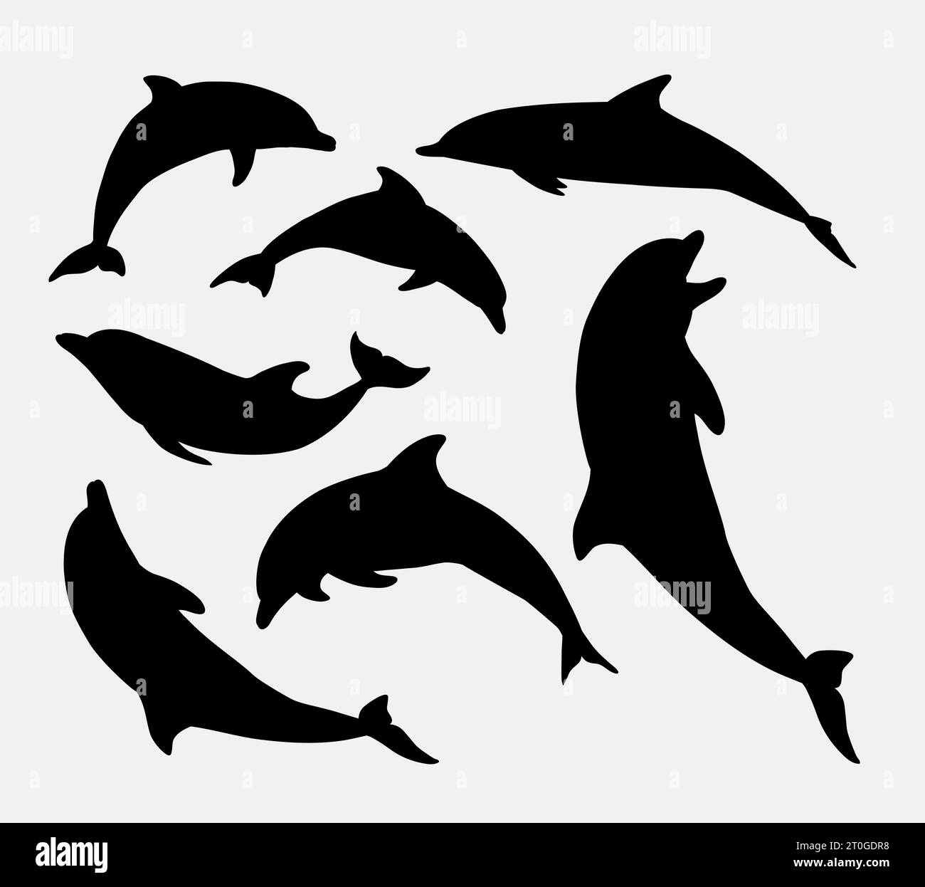 Dolphin group Stock Vector Images - Alamy