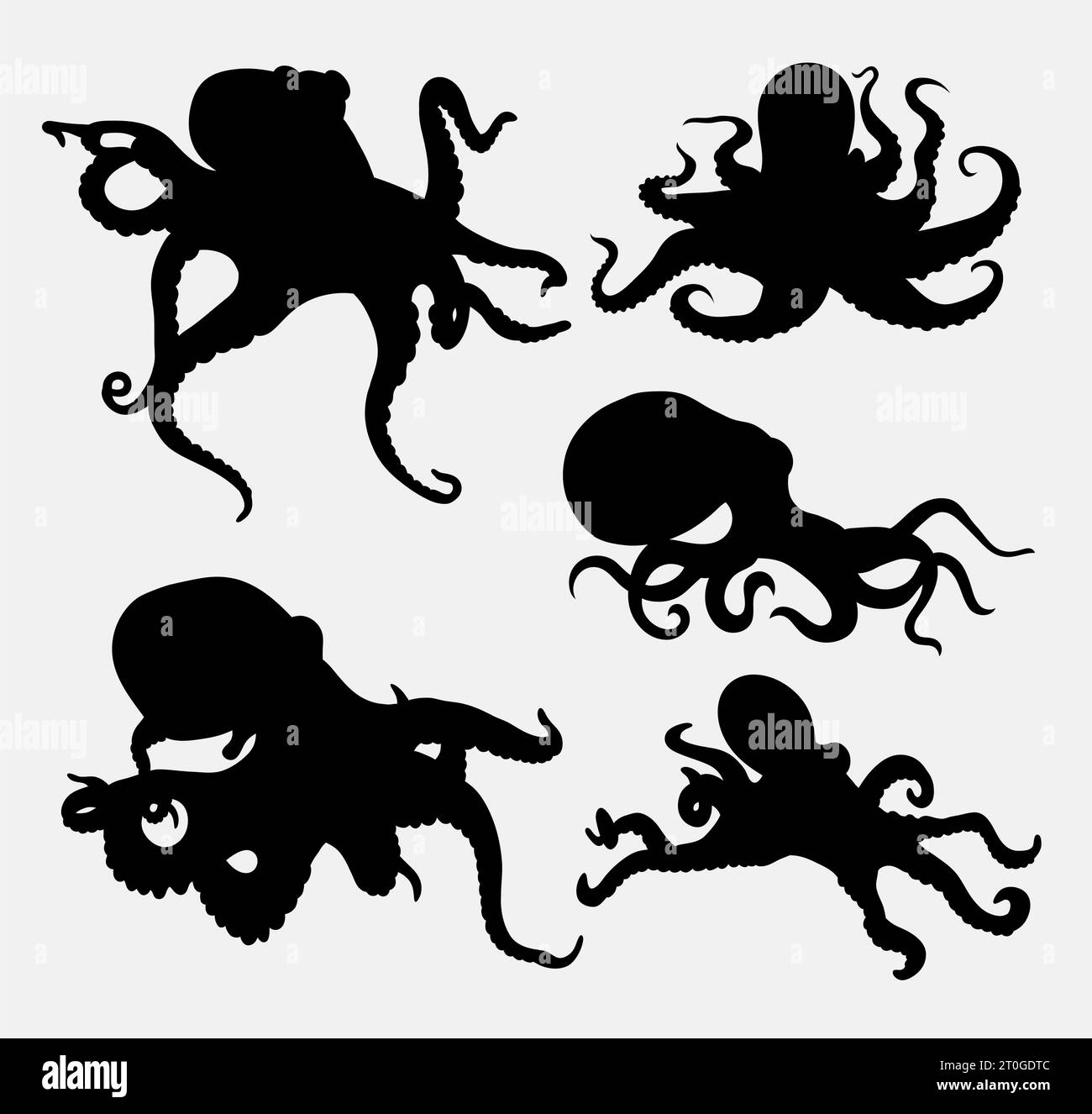 Squid sea animal cartoon Black and White Stock Photos & Images - Alamy