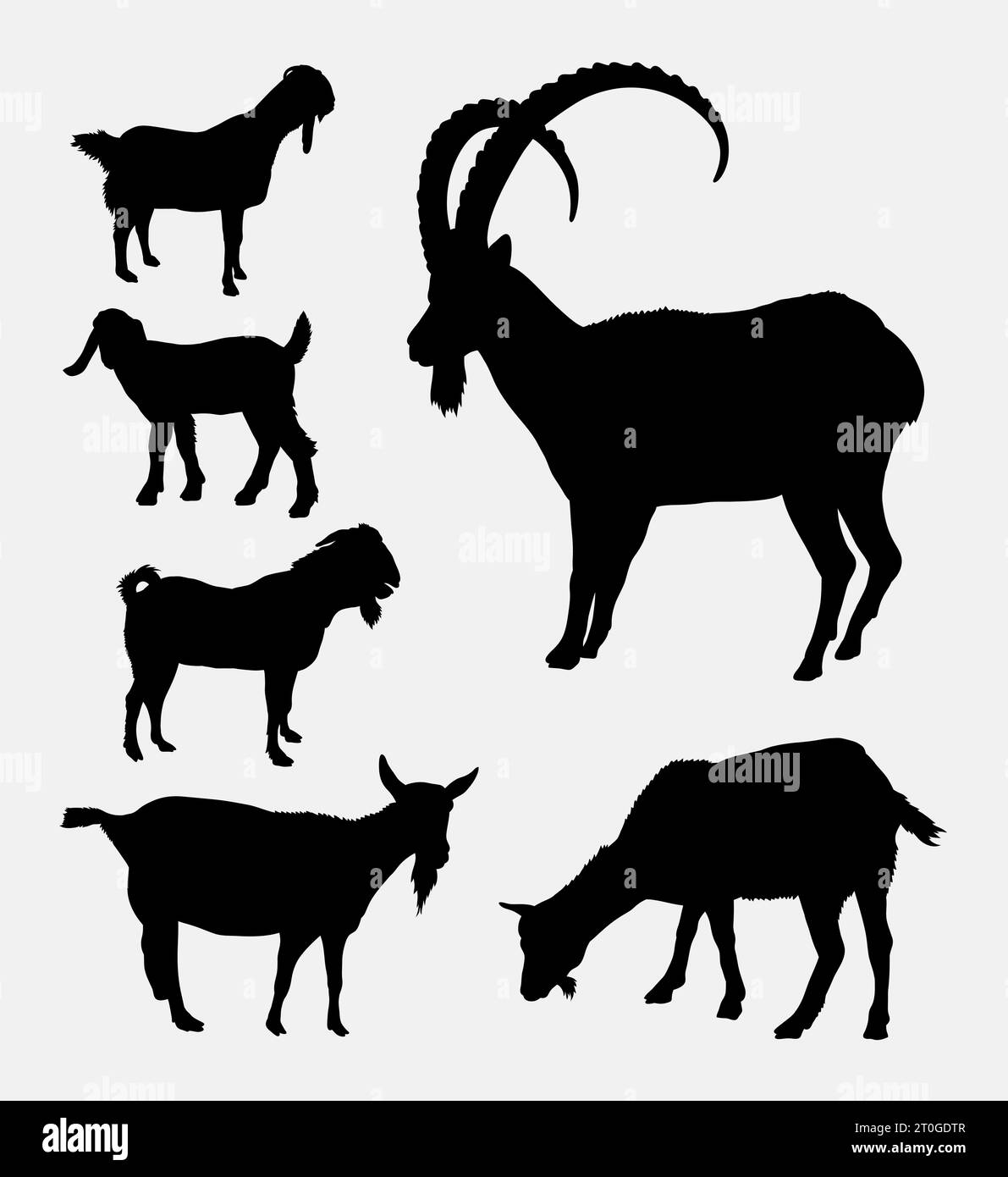 Lamb meat pack on Stock Vector Images - Alamy