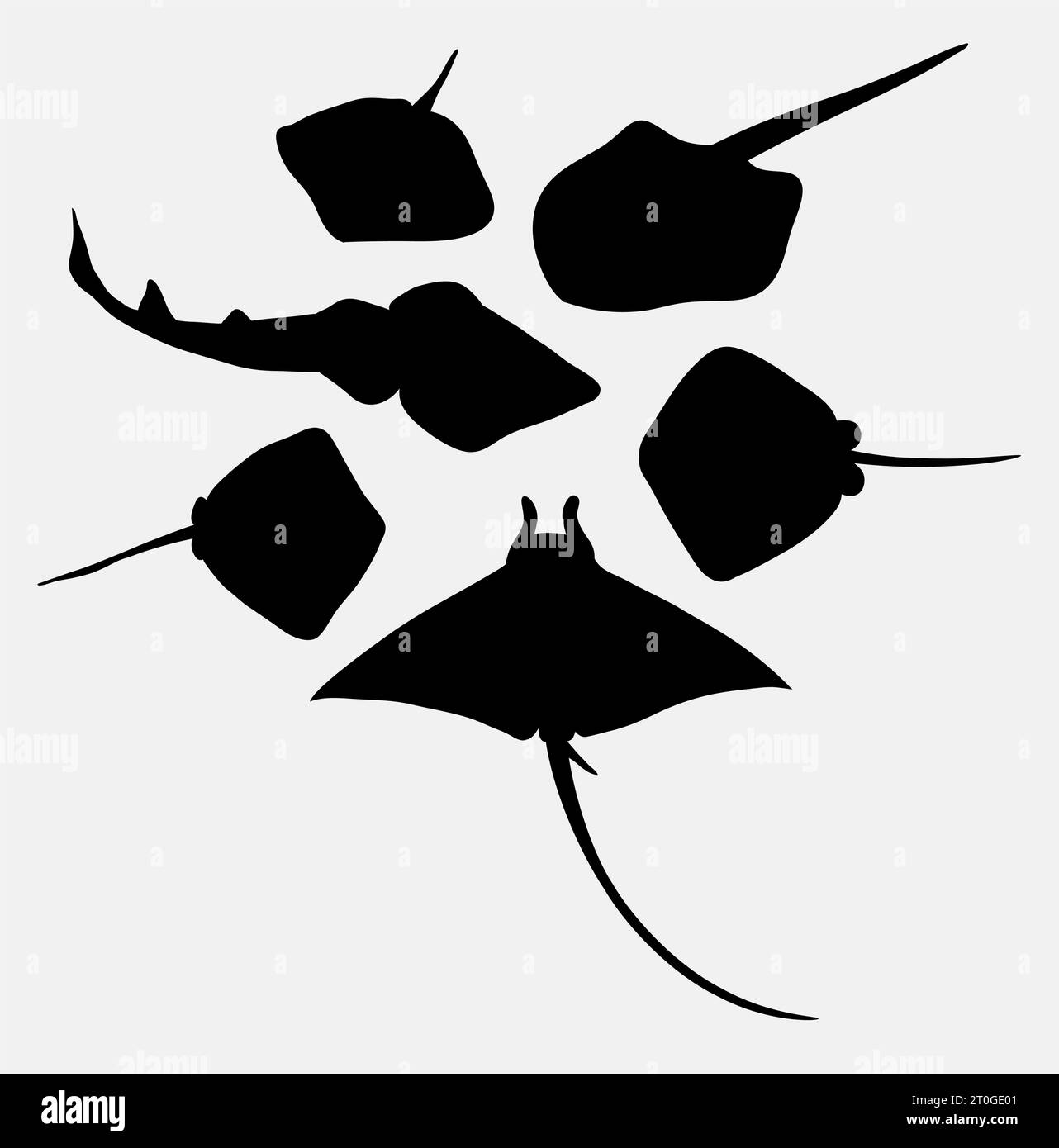 Vector silhouette fish animal Black and White Stock Photos & Images - Alamy