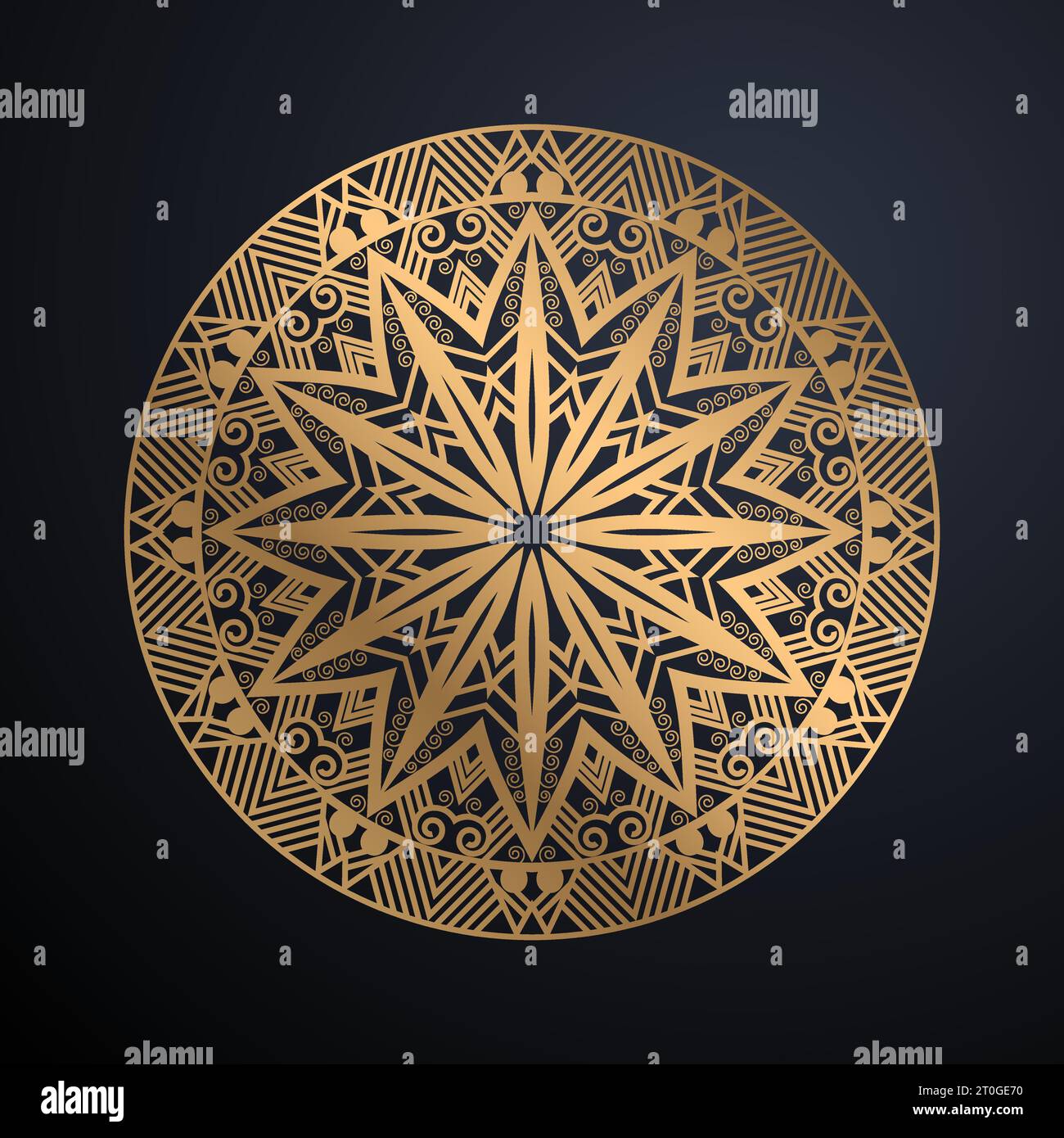 a striking black and white background that serves as a canvas for ...