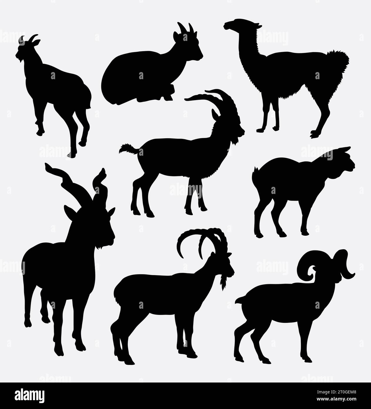 Shadow of an goat Stock Vector Images - Alamy