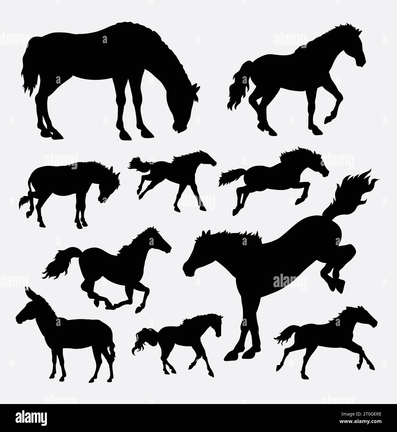 Set donkey silhouette hi-res stock photography and images - Alamy