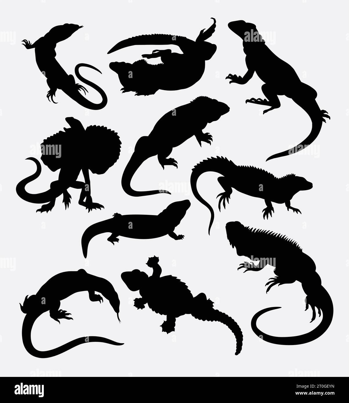 comodo dragon and lizard animal silhouette Stock Vector Image & Art - Alamy