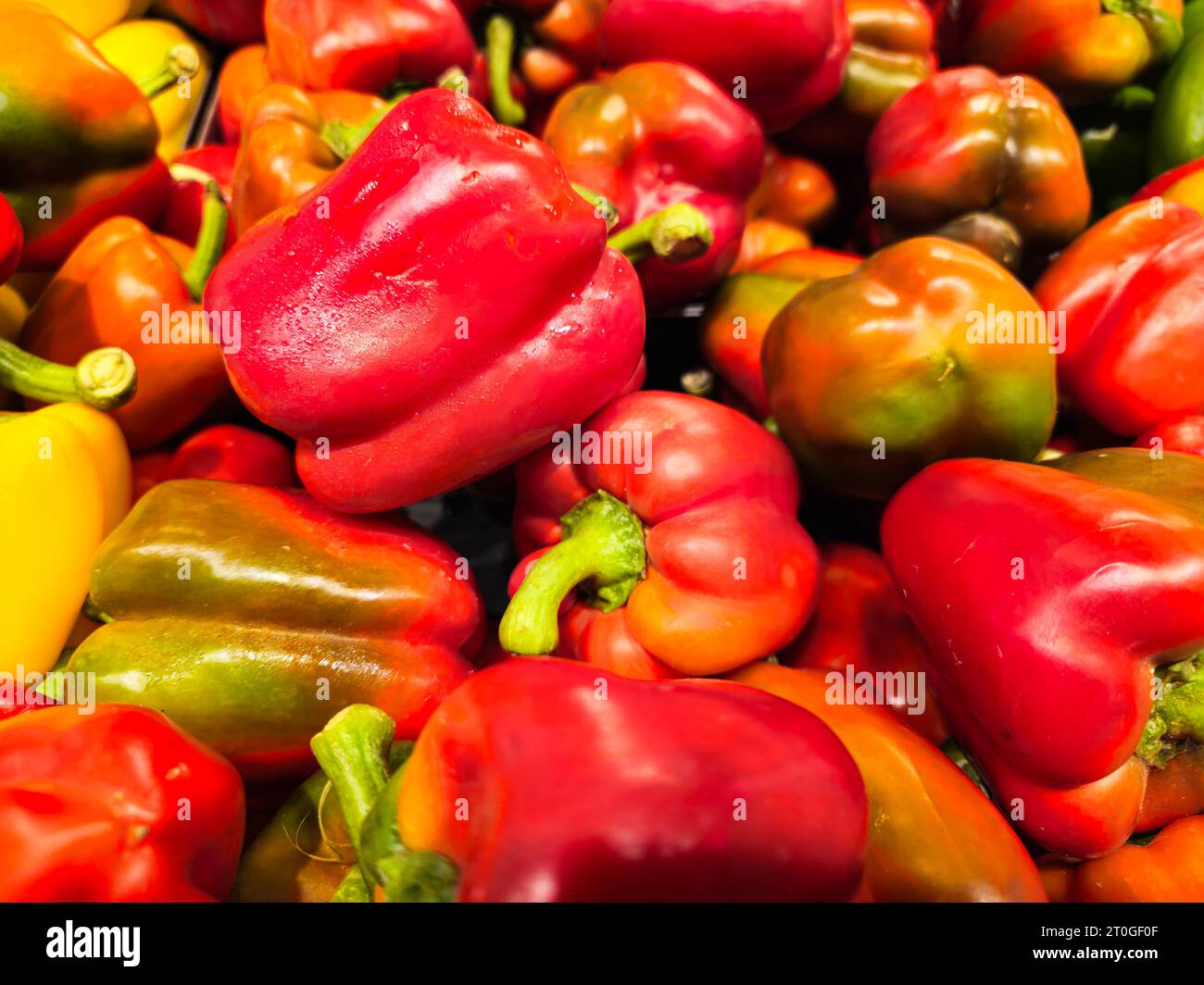Supermarket banner set hi-res stock photography and images - Alamy