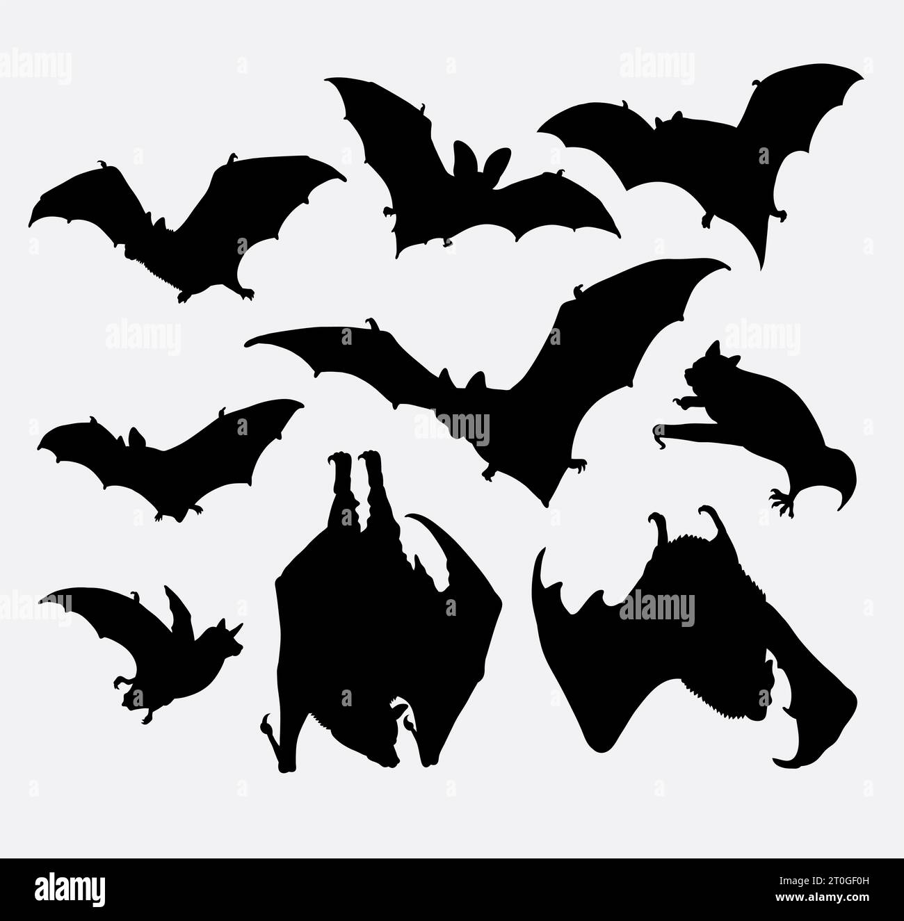 bat flying animal silhouette Stock Vector Image & Art - Alamy