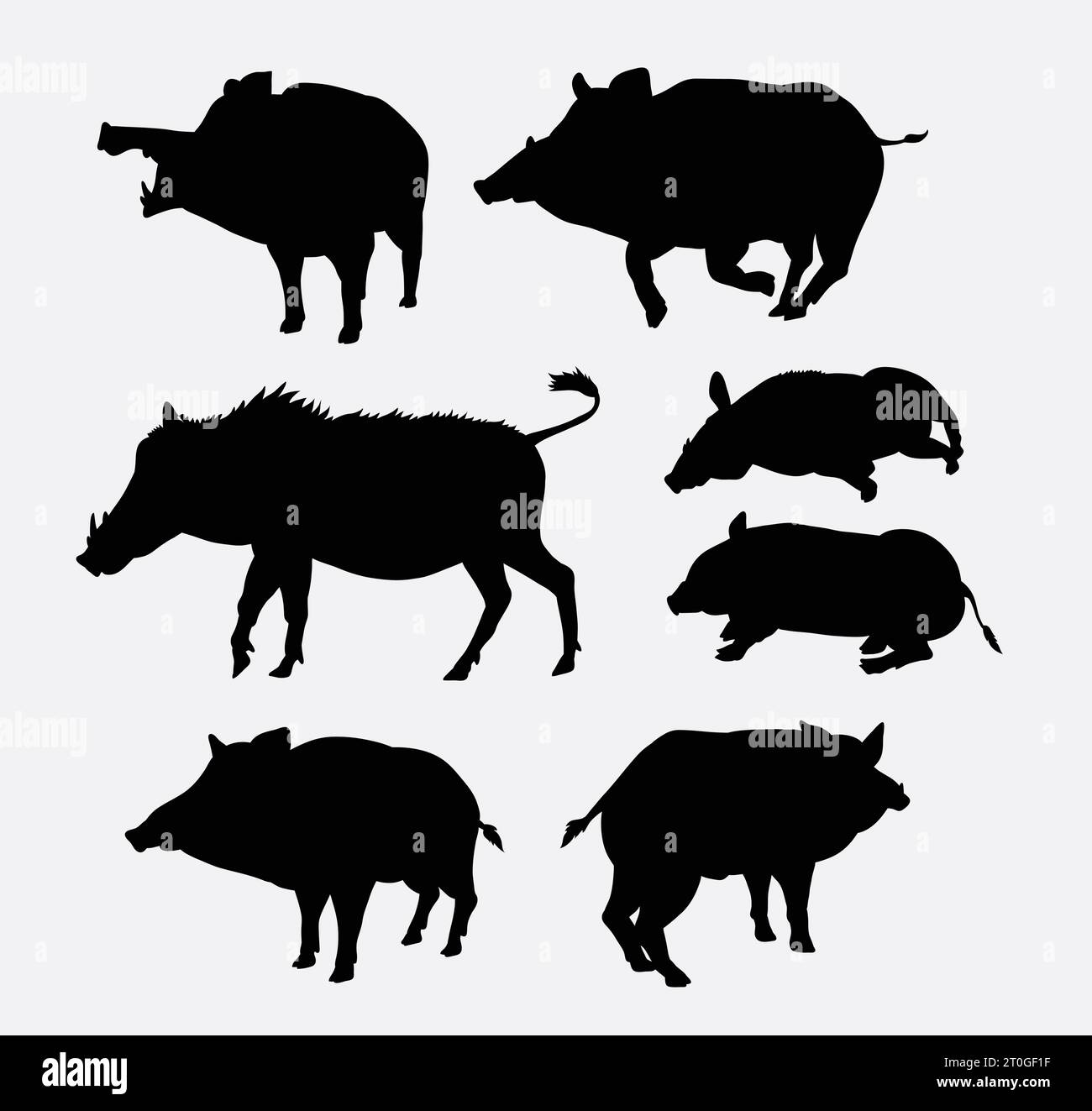 wild boar and pig animal silhouette Stock Vector Image & Art - Alamy