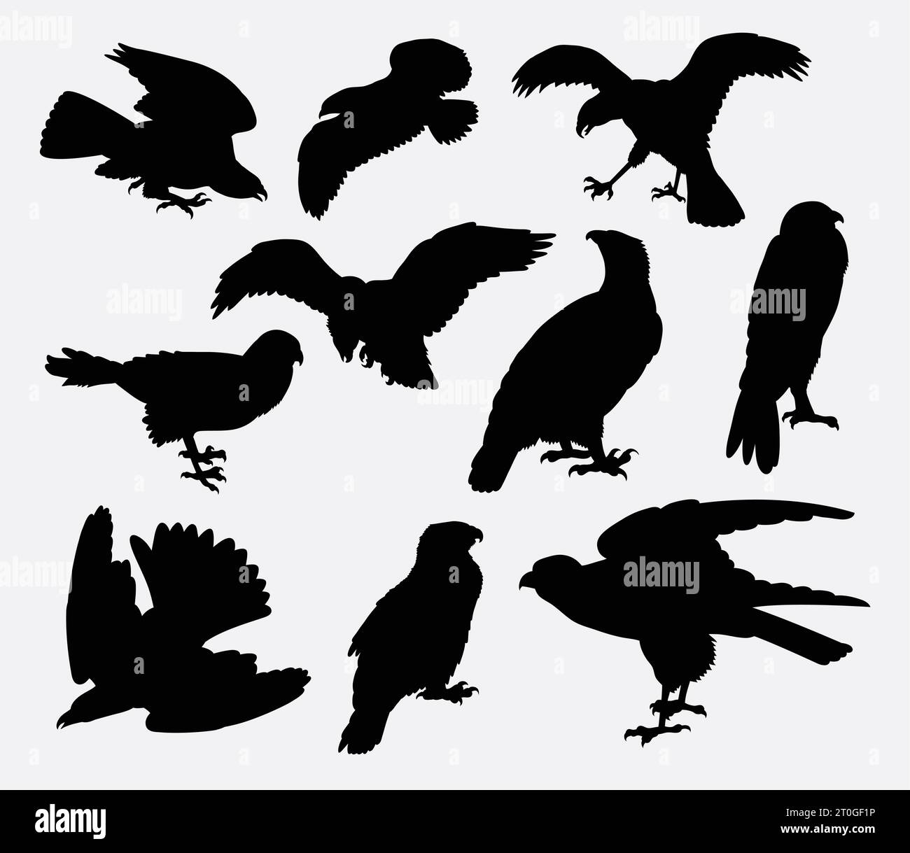 Eagle hawk animal symbol hi-res stock photography and images - Alamy