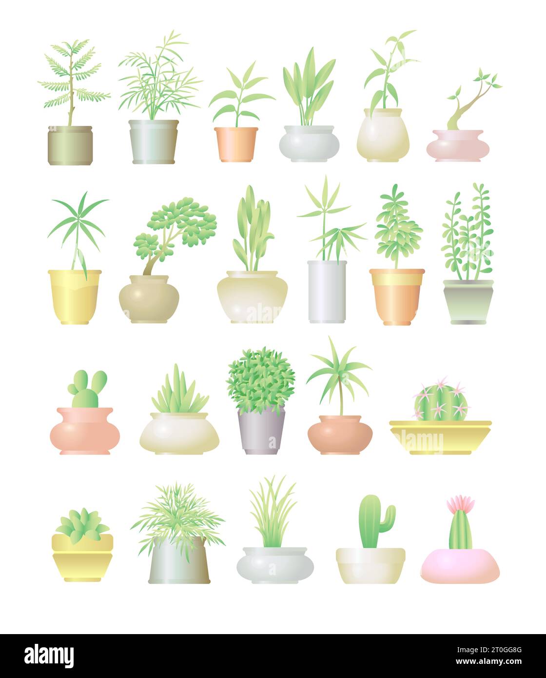 plants colorful illustration Stock Vector Image & Art - Alamy