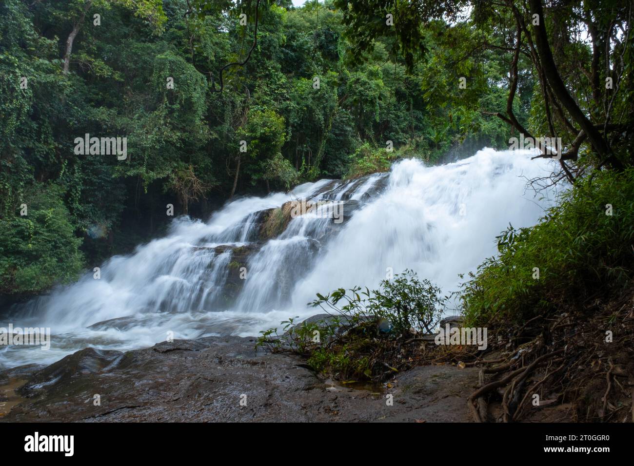 Rainforest waterfall scenery hi-res stock photography and images - Alamy