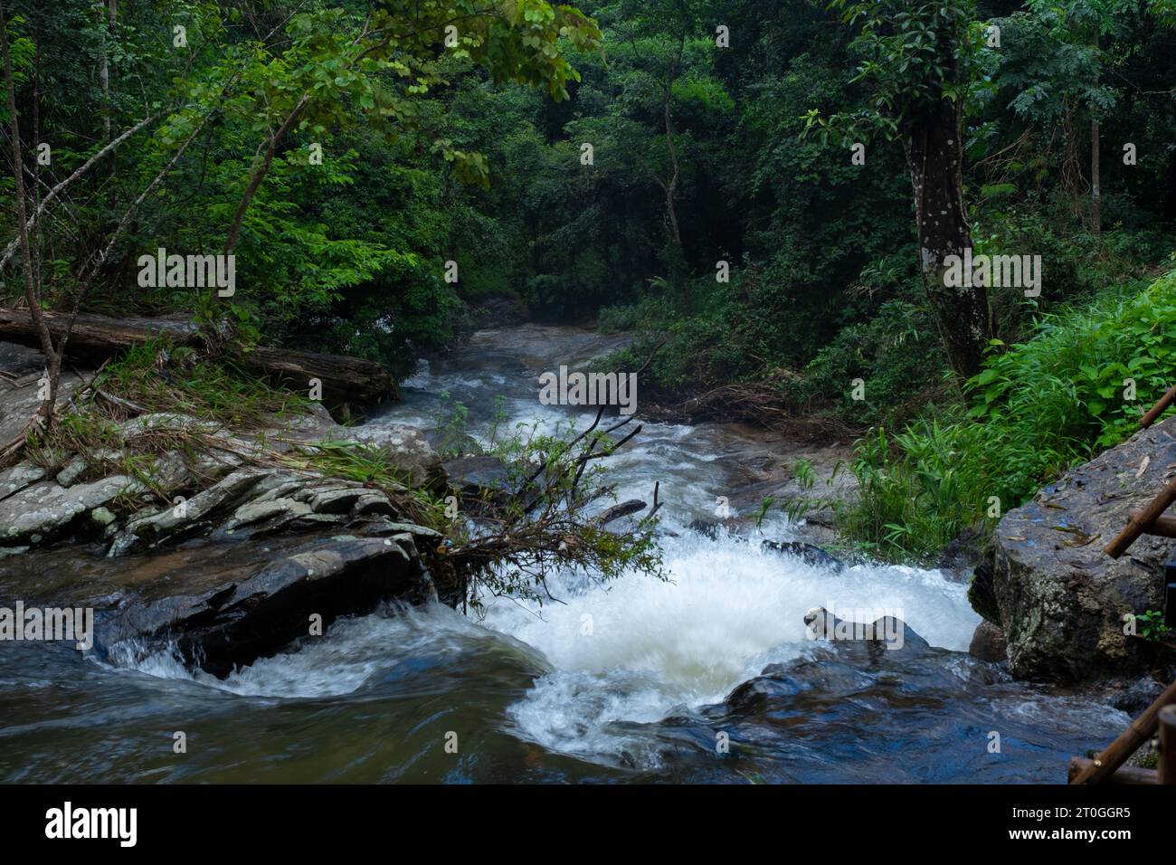 Beautiful waterfall in the rainforest with clear water. Stream running ...