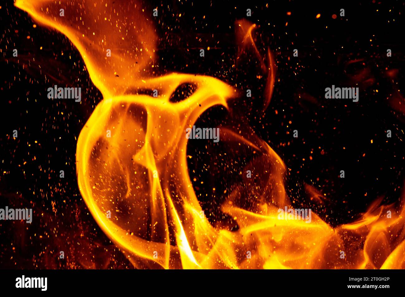 Bright orange flames om shape of cobra isolated on black background ...