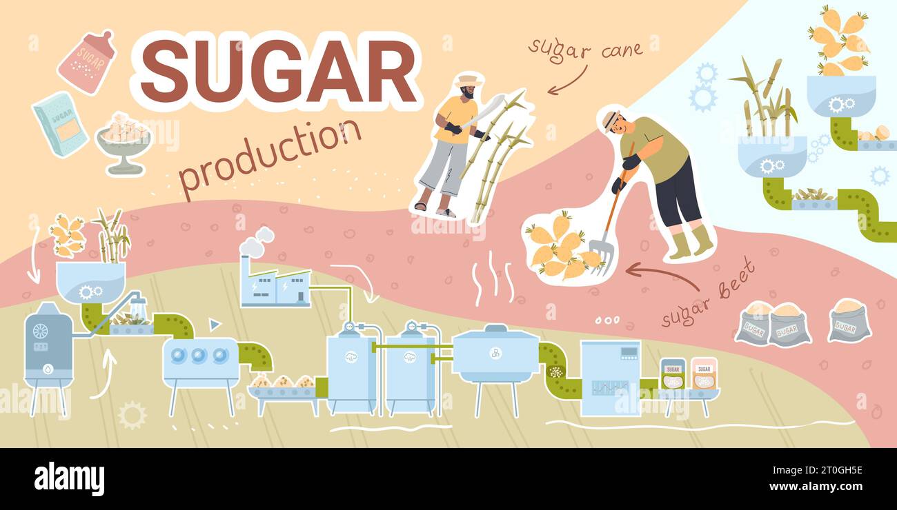 Sugar production composition with collage of flat icons with factory ...